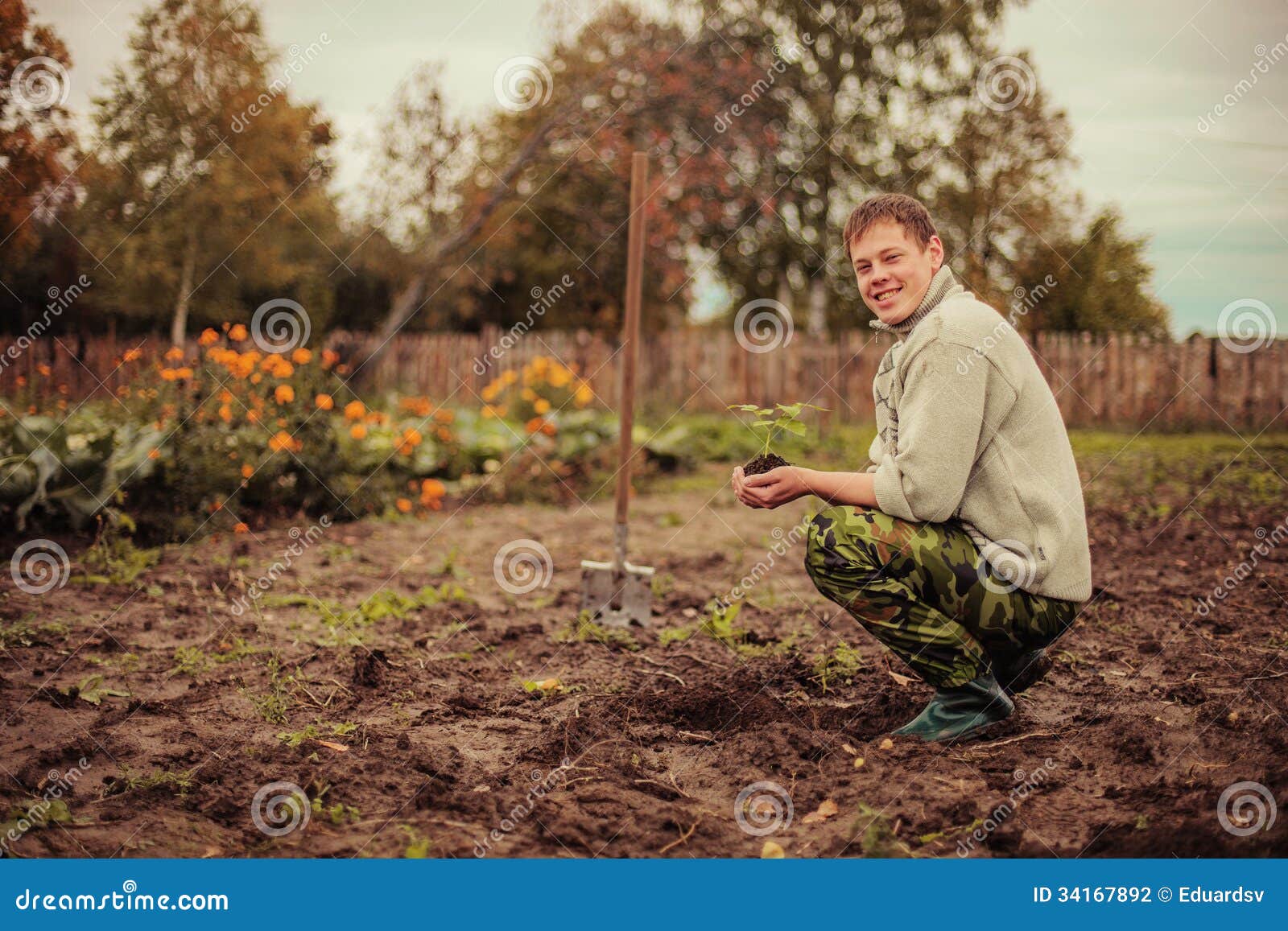 Plant. stock photo. Image of care, garden, cute, cheerful - 34167892