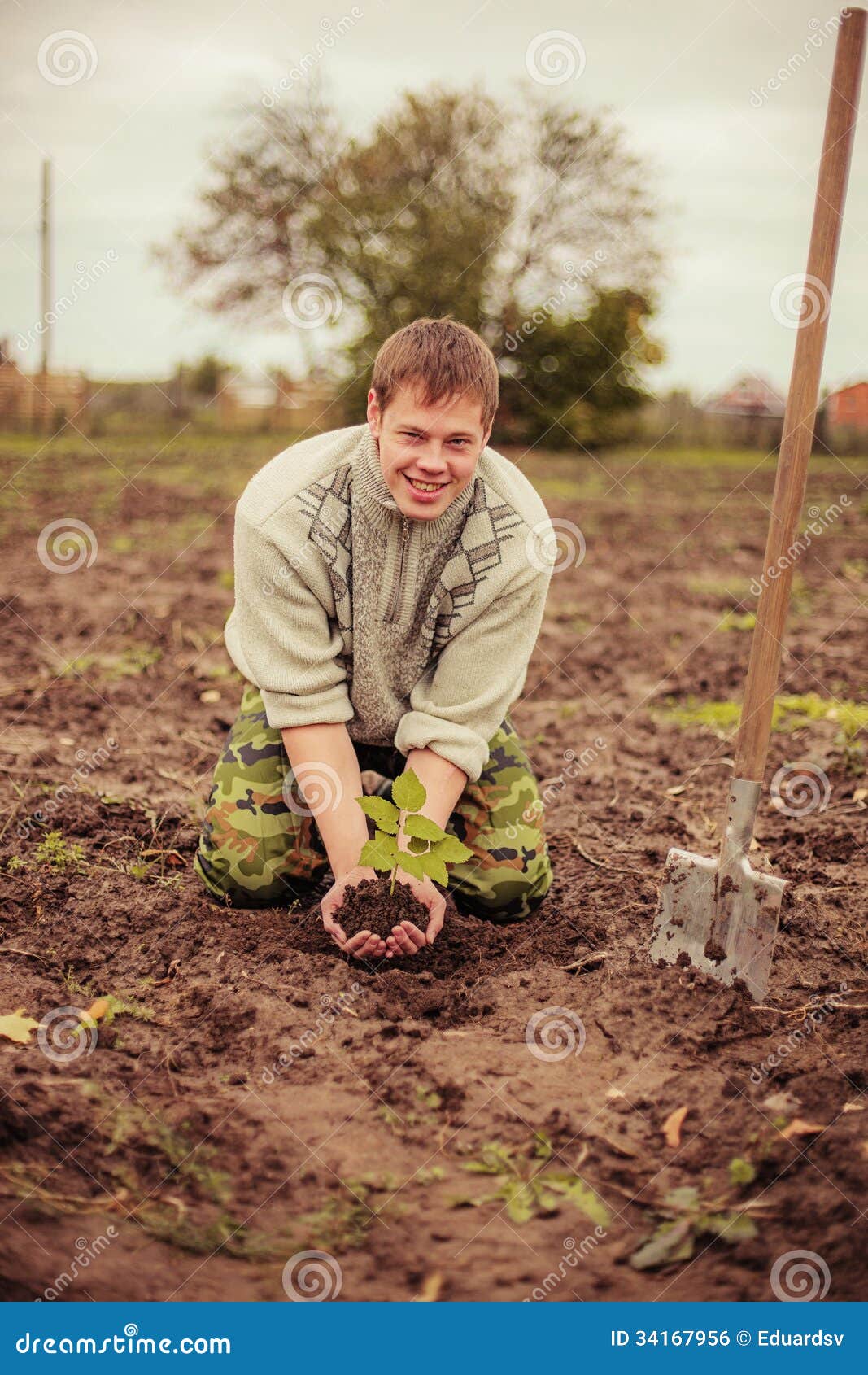 Plant. stock photo. Image of holding, happiness, nature - 34167956