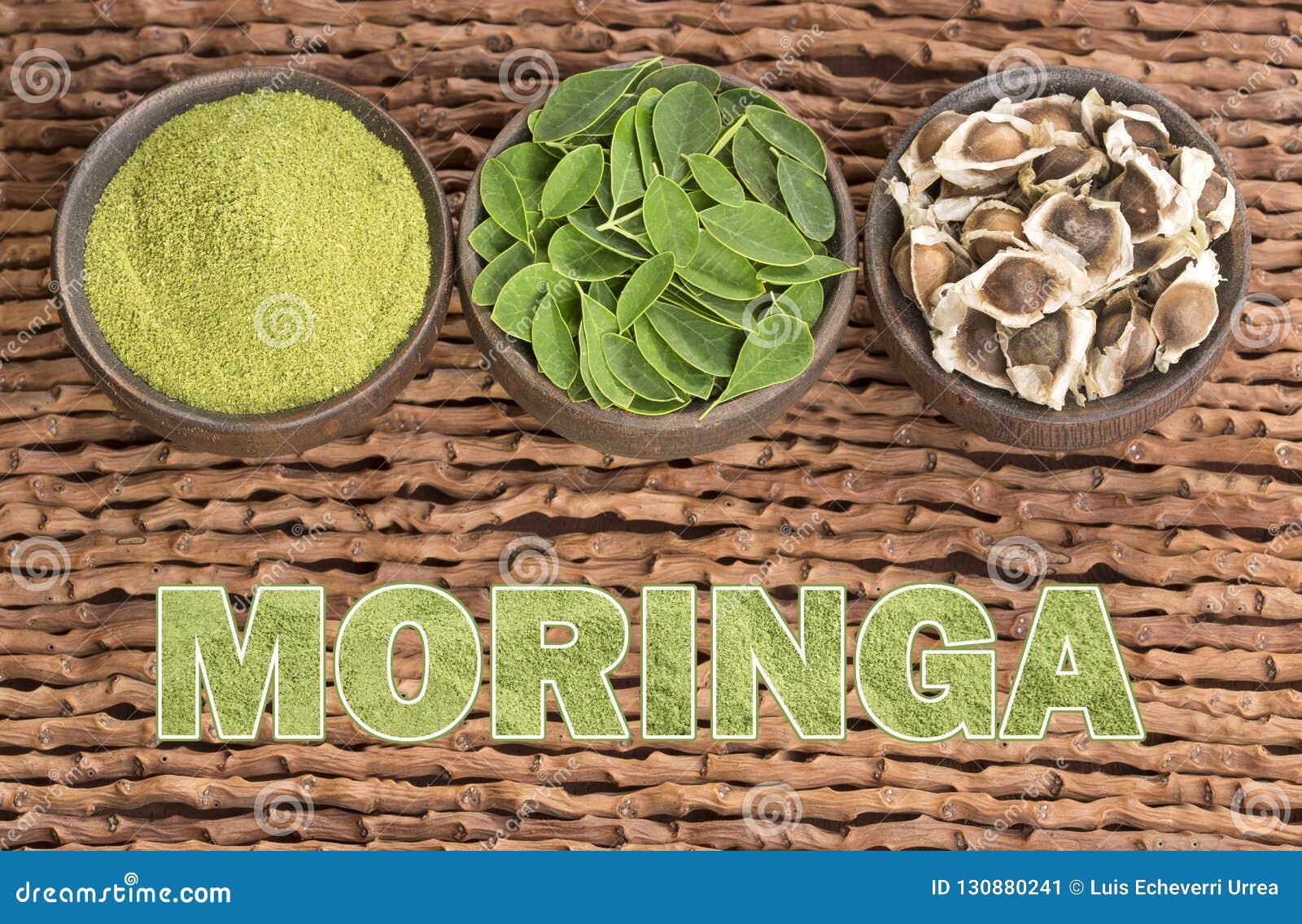 Planta Alimenticia De Moringa - Moringa Oleifera Imagen de archivo ...