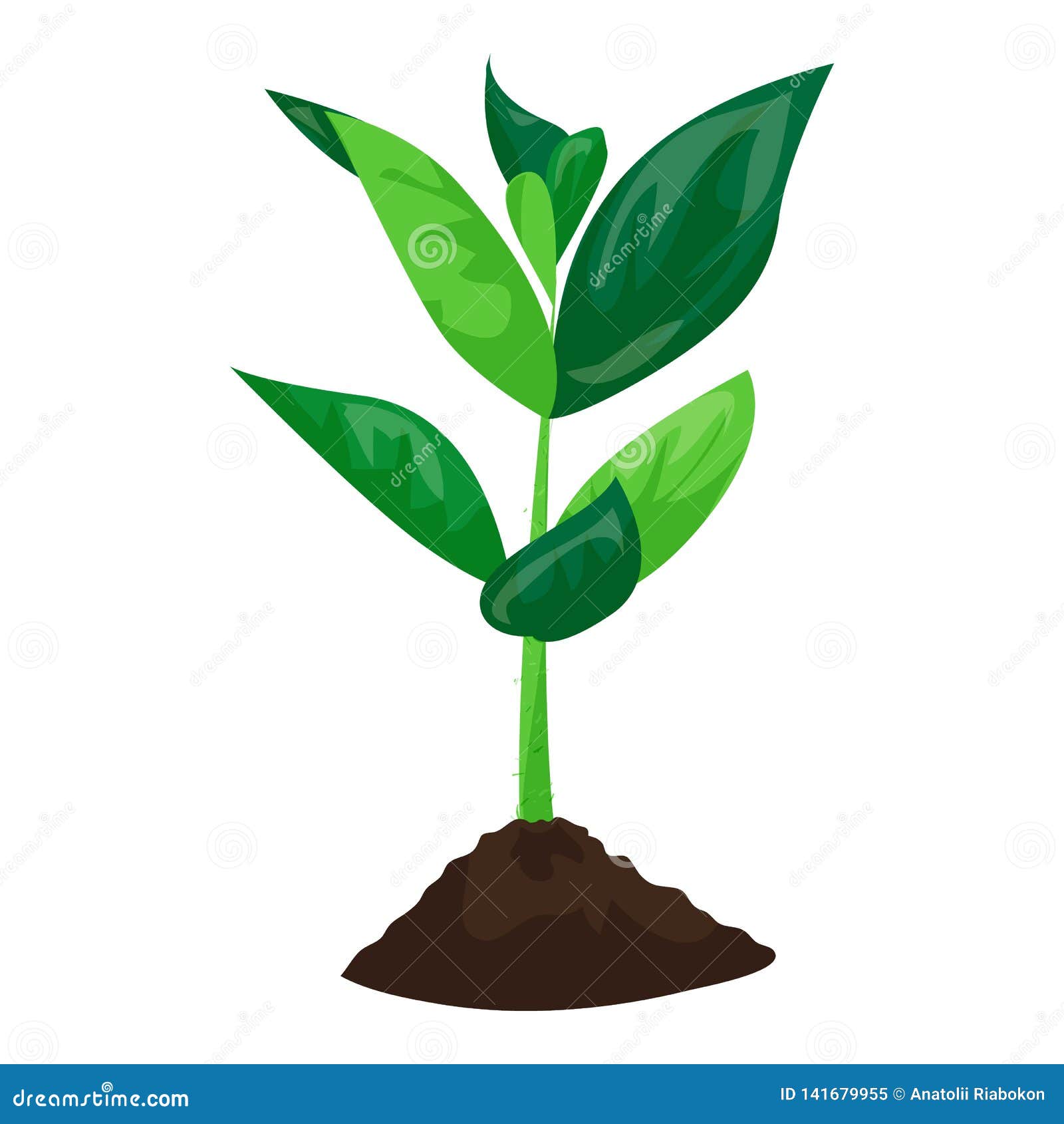 Compartilhar Imagens Imagen Desenhos De Plantas Para Colorir E | The ... Compartilhar Imagens Imagen Desenhos De Plantas Para Colorir E | The ...