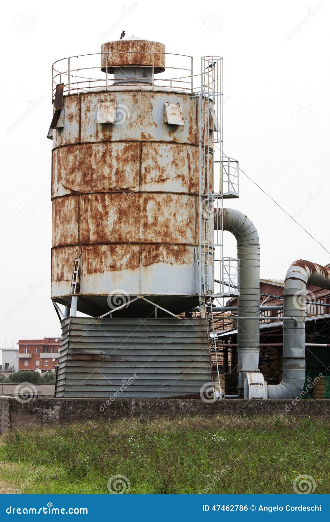 Planta De Madera Industrial Para El Proceso De La Madera Foto de ...