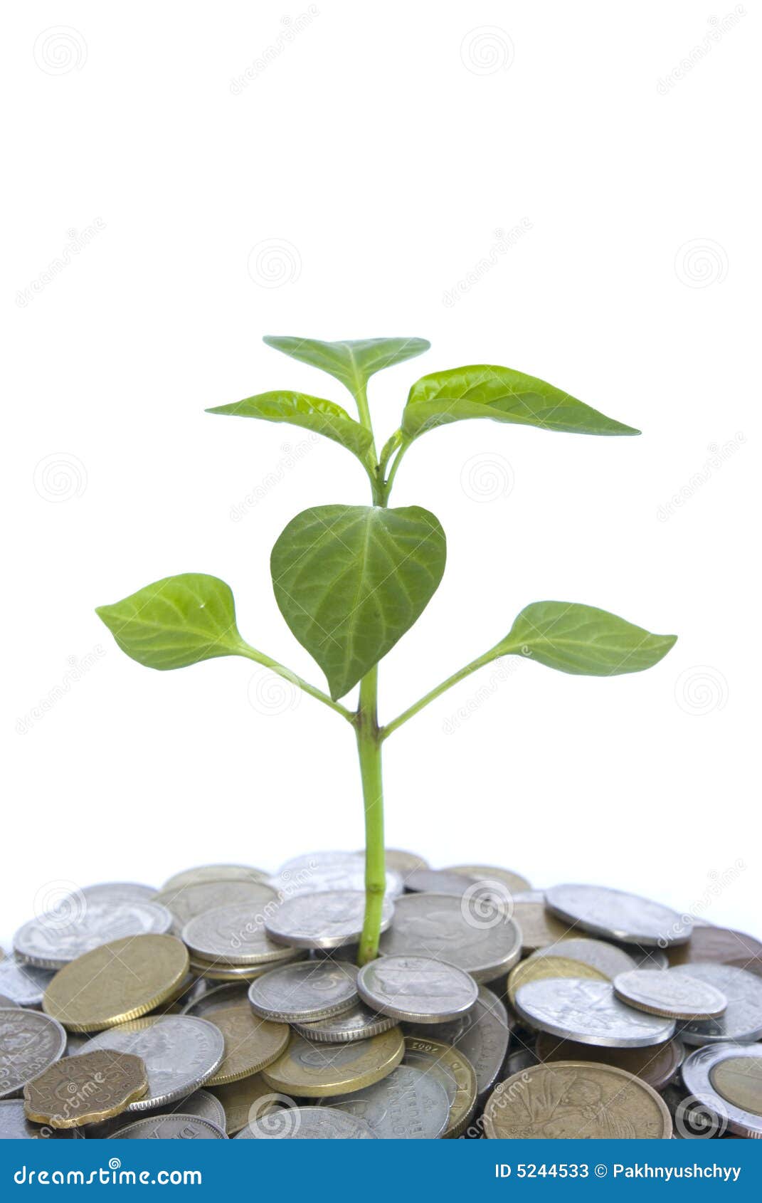 Planta en monedas imagen de archivo. Imagen de crecimiento - 5244533