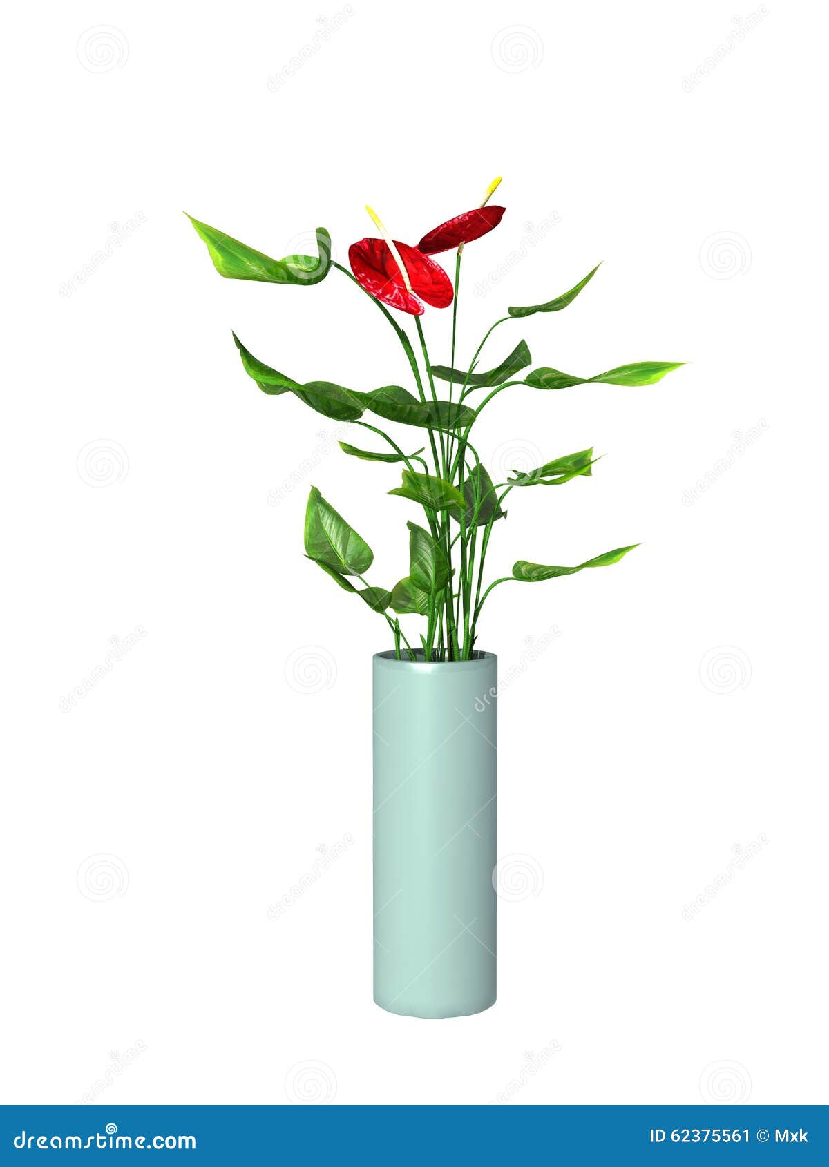 Planta Potted imagen de archivo. Imagen de ornamental - 62375561