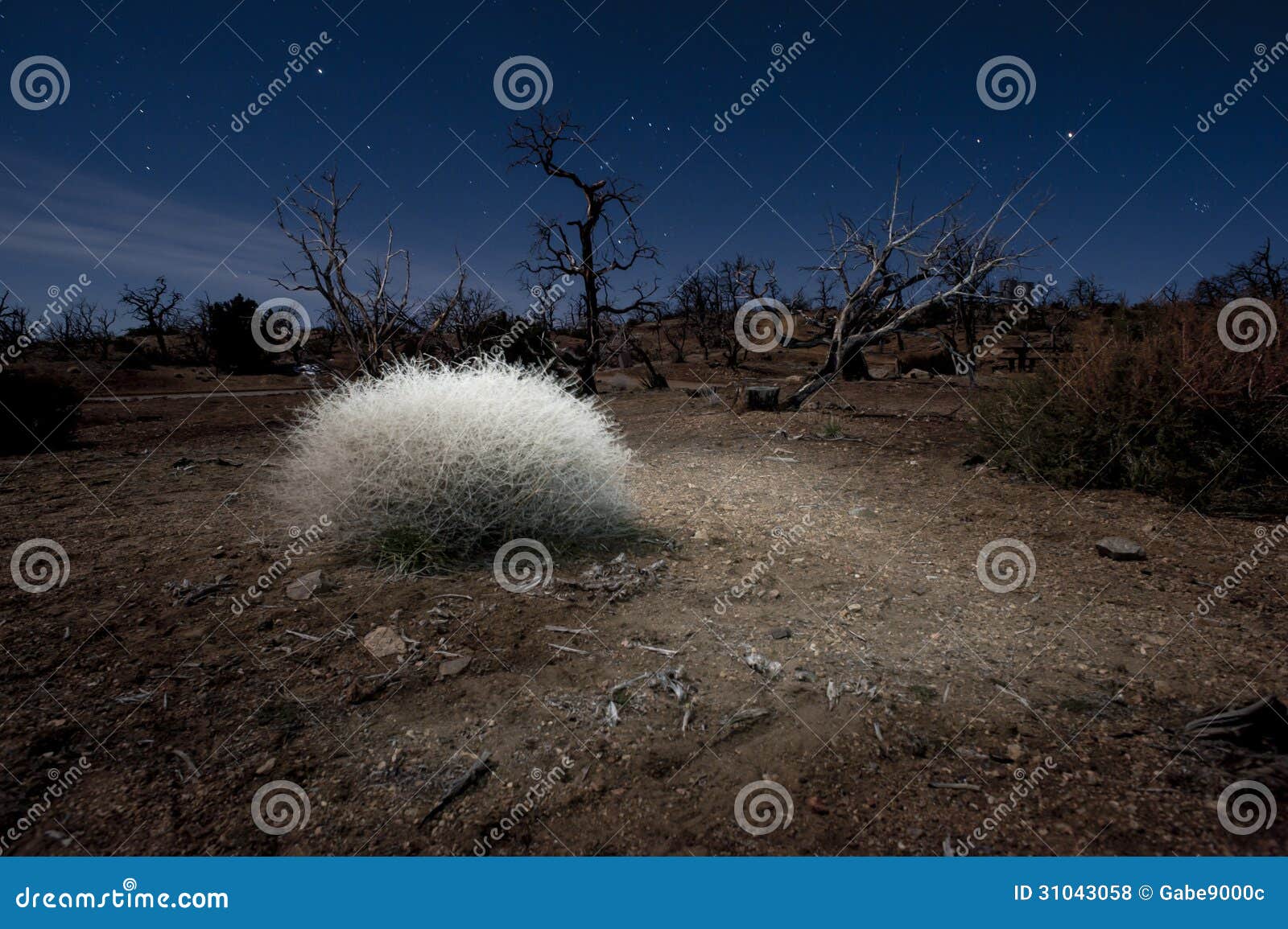 Planta Rodadora En La Noche Foto de archivo - Imagen de espeluznante ...