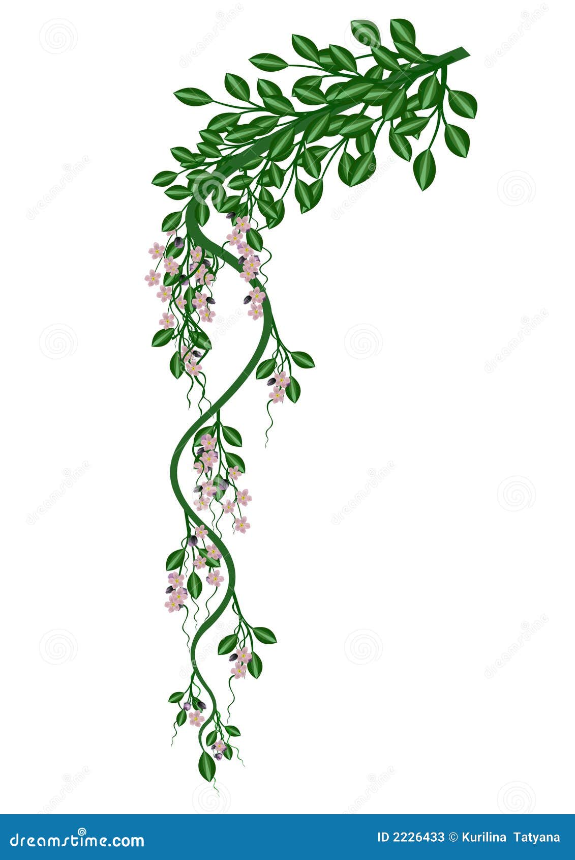 Planta torcida stock de ilustración. Ilustración de flores - 2226433