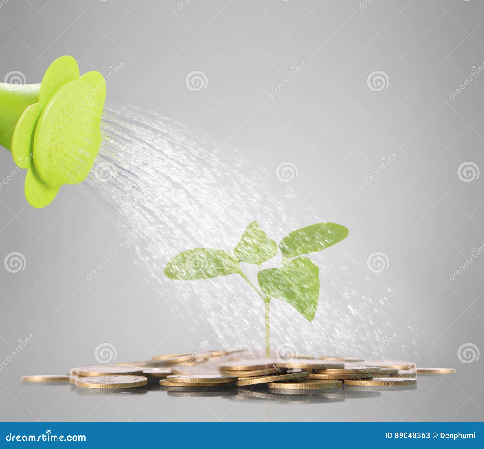 Planta Verde En Las Monedas De Oro Imagen de archivo - Imagen de ...