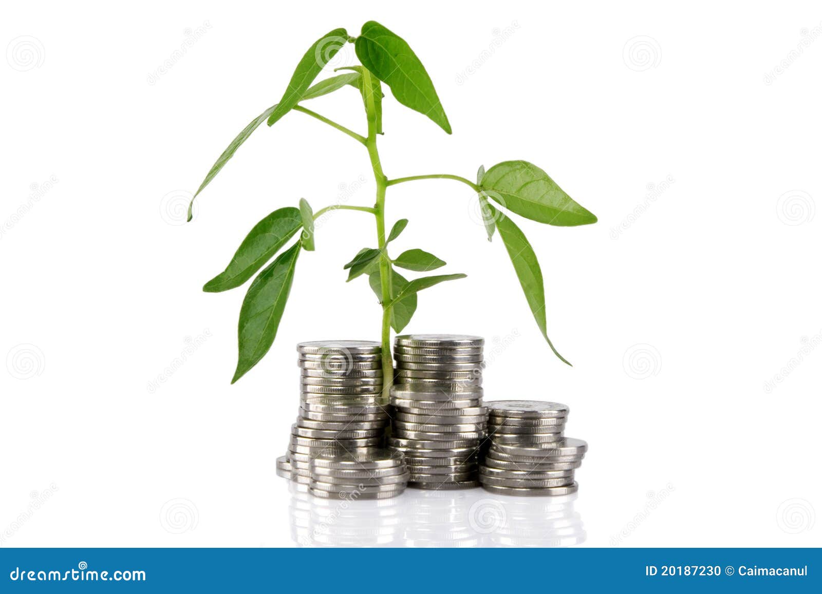 Planta Verde Que Crece De Las Monedas Foto de archivo - Imagen de ...