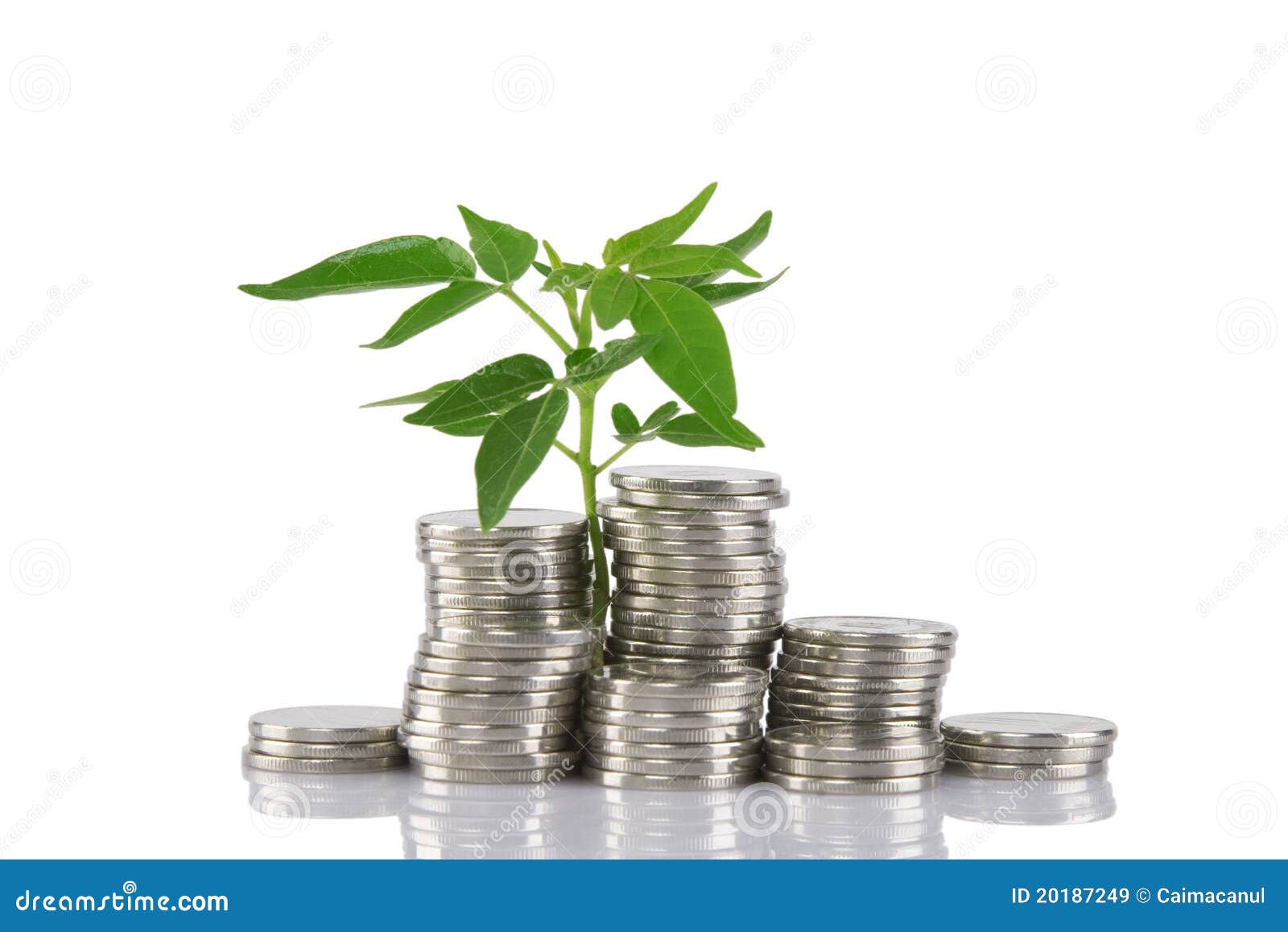 Planta Verde Que Crece De Las Monedas Imagen de archivo - Imagen de ...