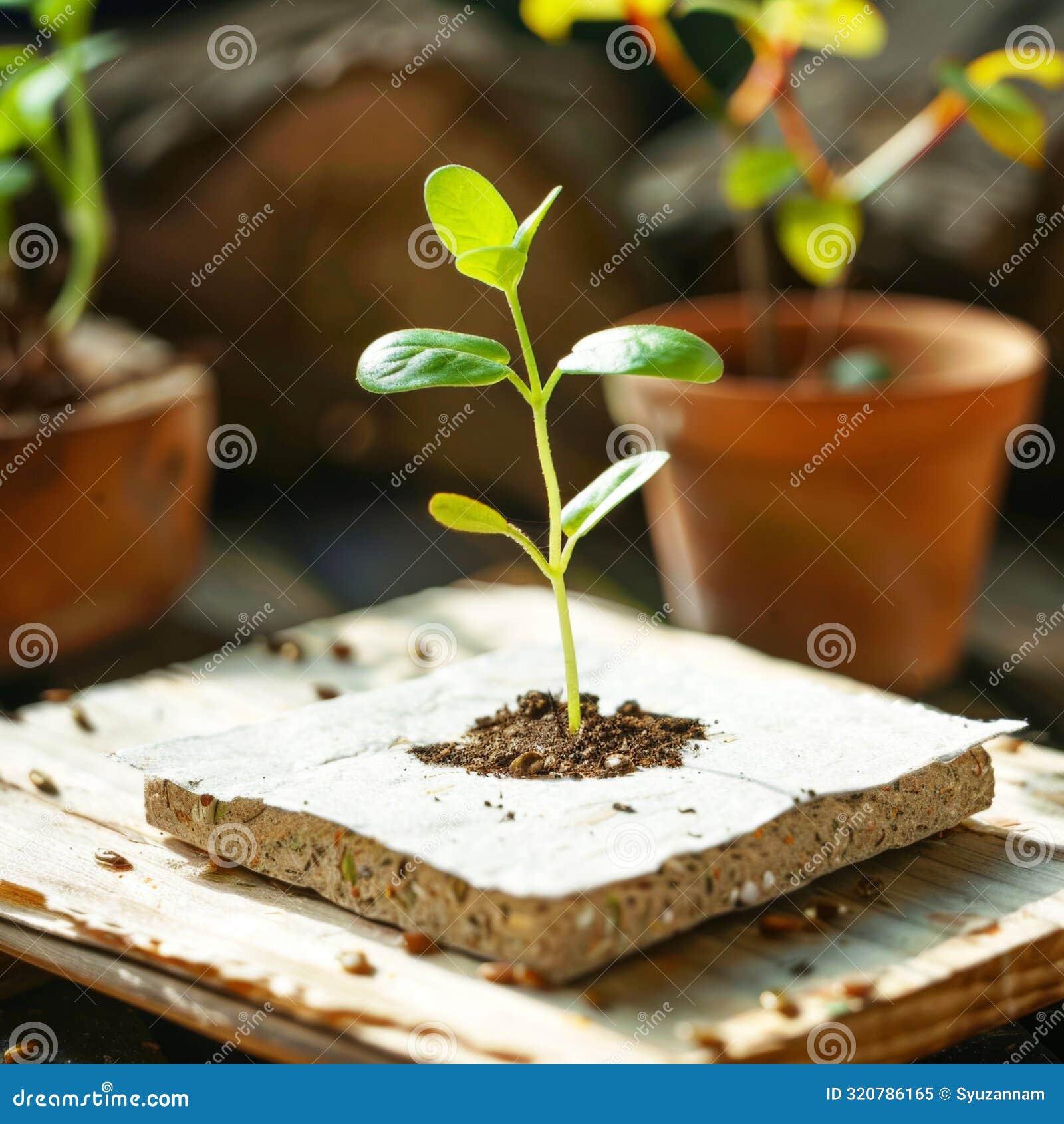 Plantable Seed Paper Concept Stock Illustration - Illustration of ...