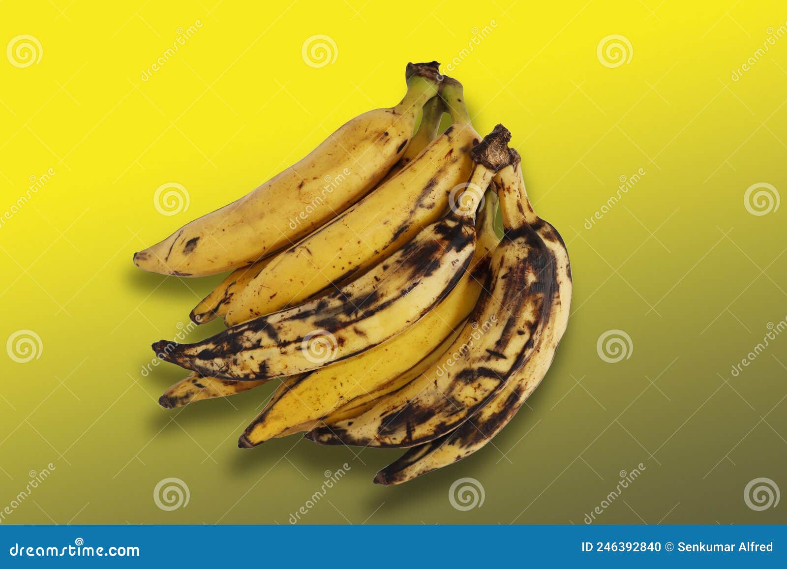 Kerala Ethapazham Or Plantain Banana In The Basket.Also Known As ...