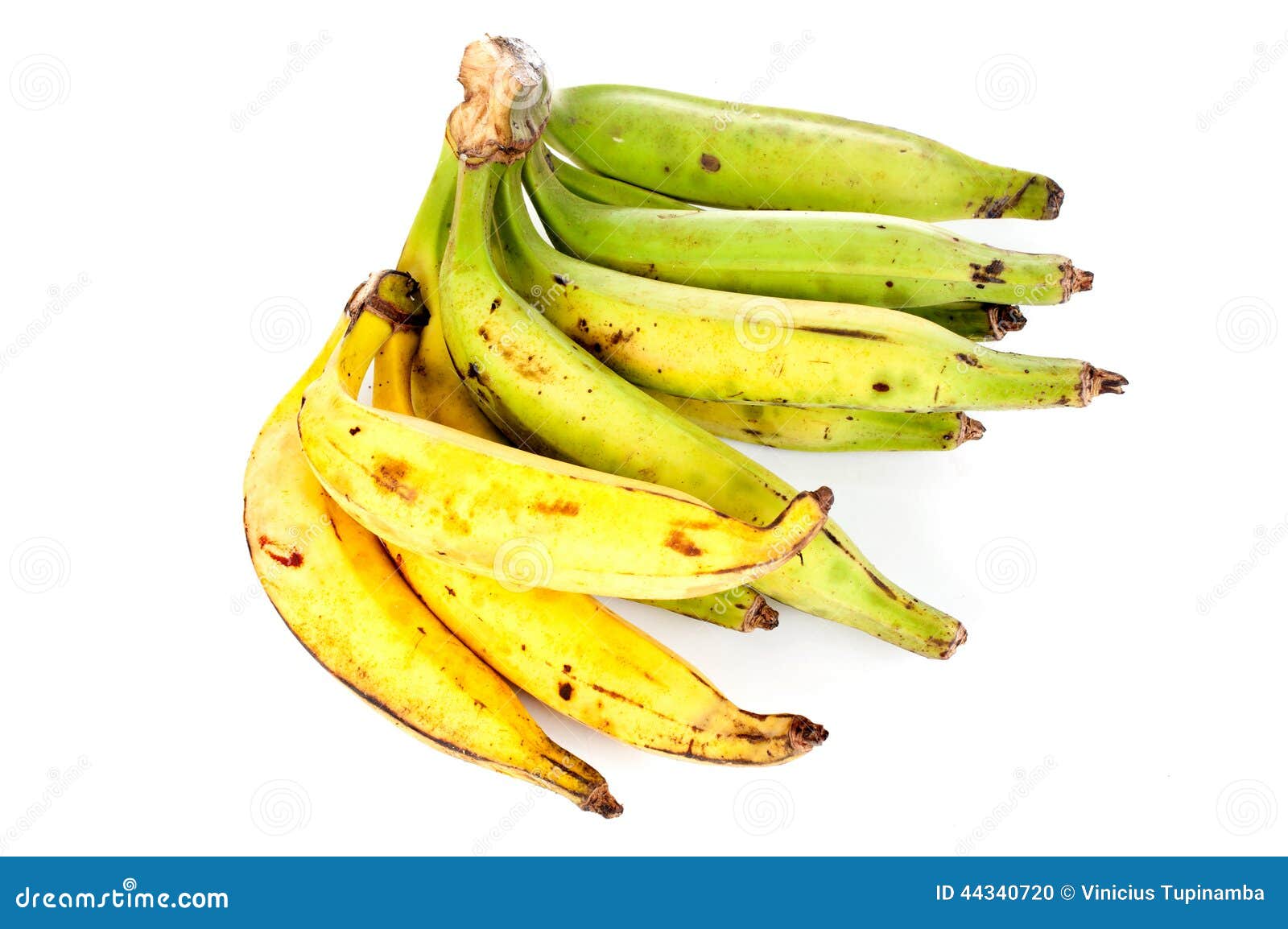 Plantain stock photo. Image of object, banana, fruit - 44340720