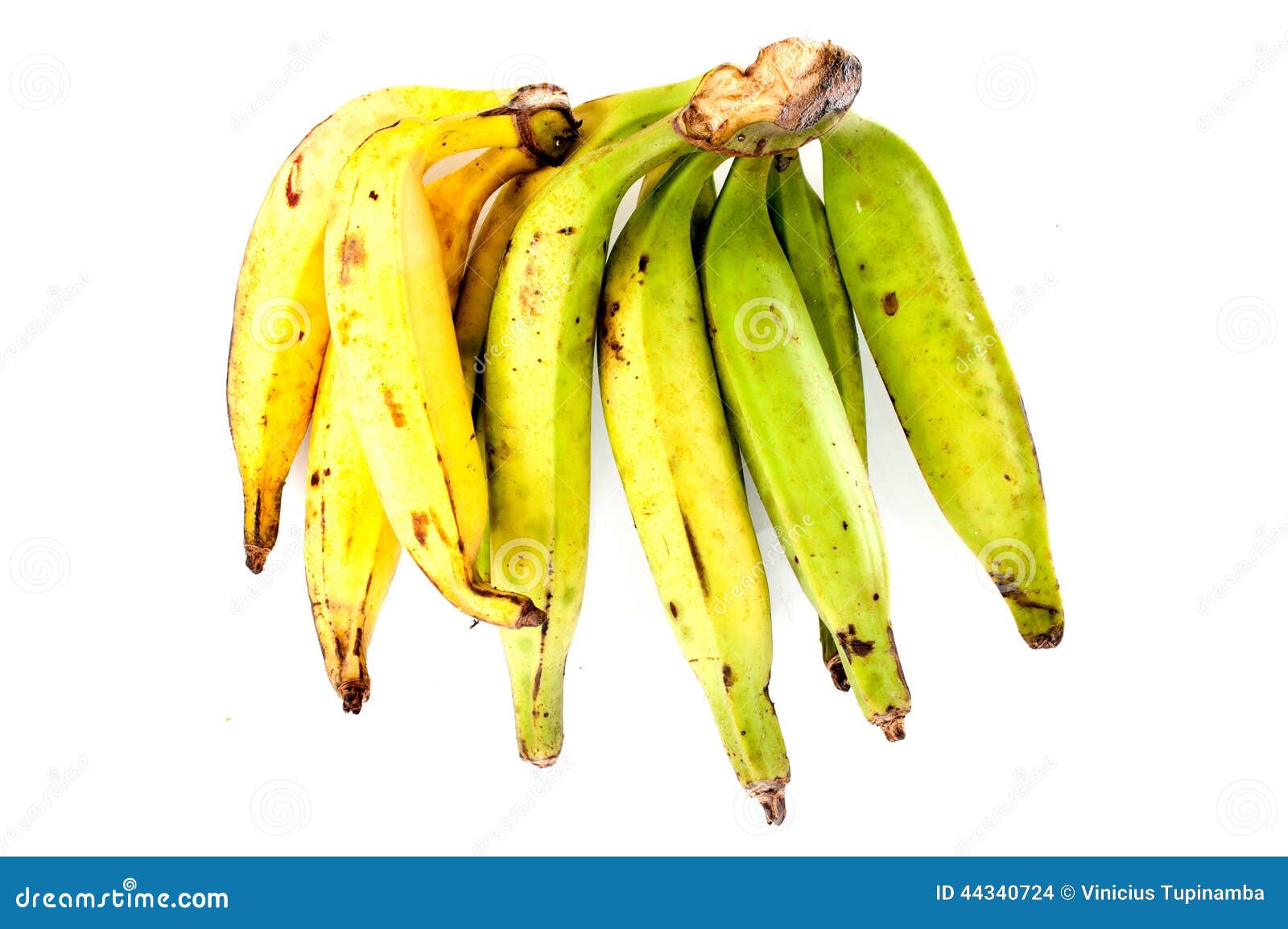 Plantain stock photo. Image of ingredient, fruit, food - 44340724