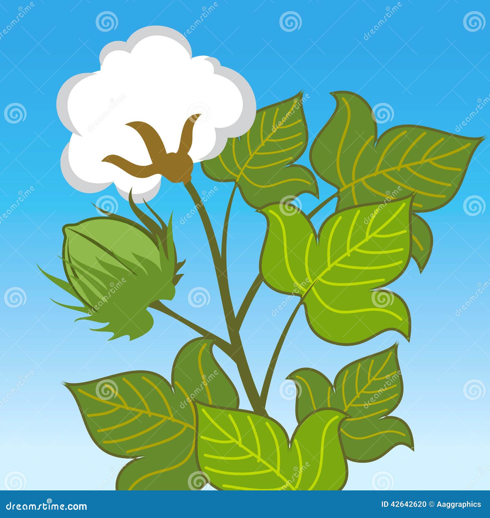 Plantas de algodón ilustración del vector. Ilustración de ginebra ...