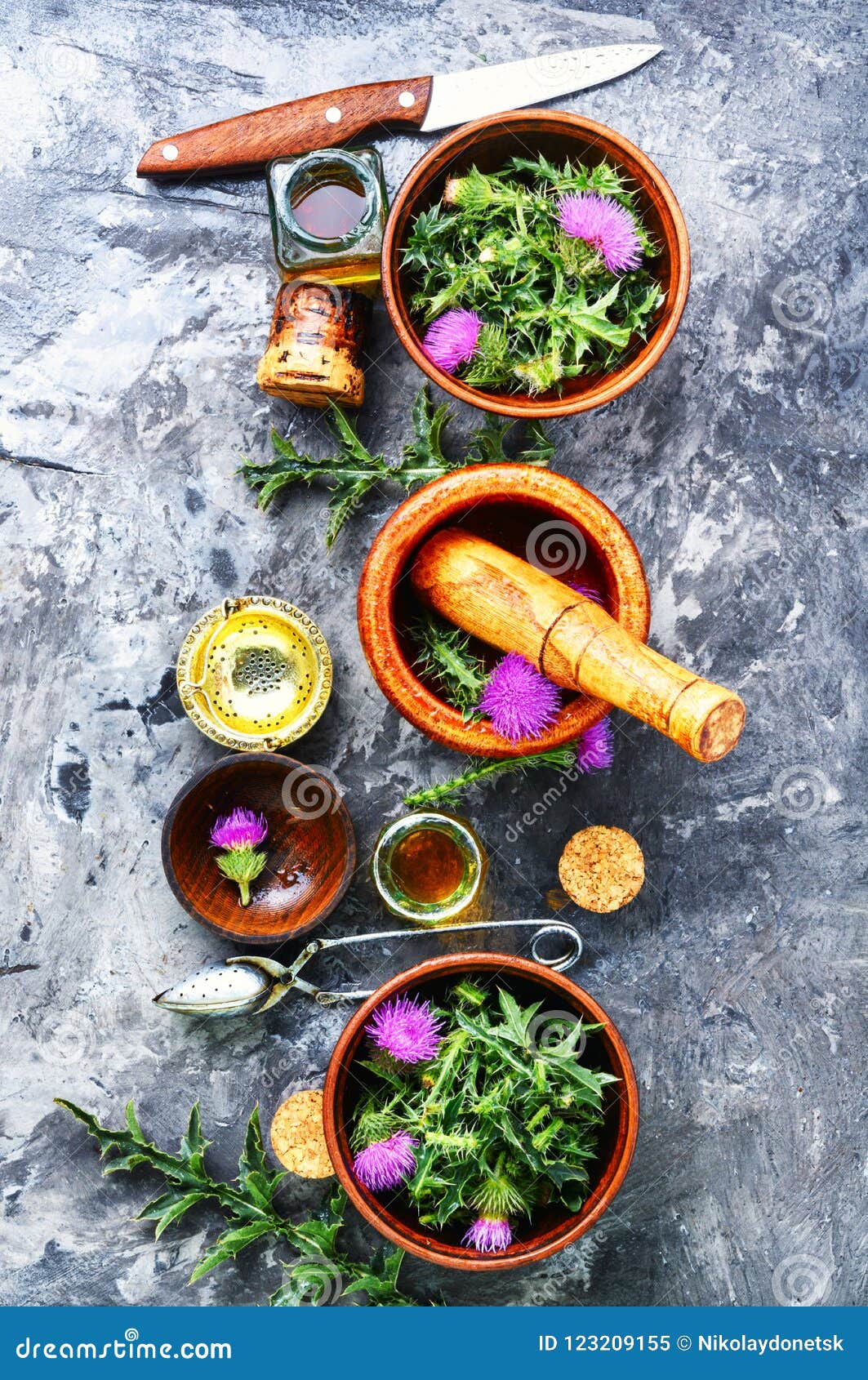 Plantas De La Medicina Popular Imagen de archivo - Imagen de herbalismo ...