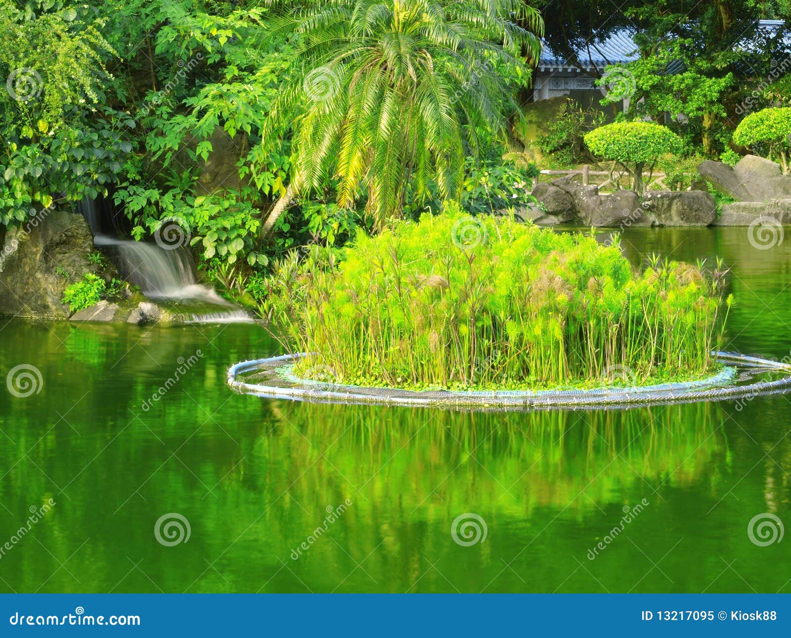 Plantas Para Beira De Lago - EDUCA