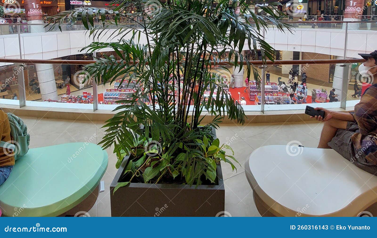 Plantas Ornamentales En El Centro Comercial Foto de archivo editorial ... Plantas Ornamentales En El Centro Comercial Foto de archivo editorial ...