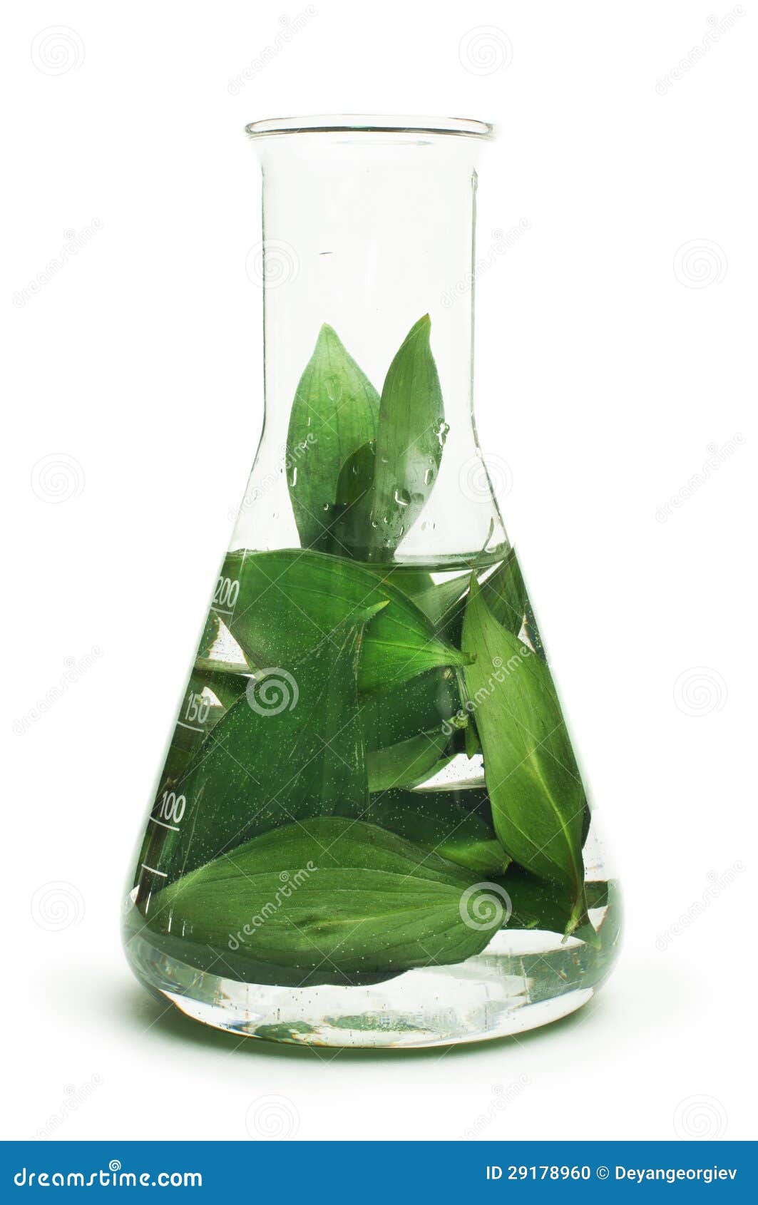 Plantas Verdes En El Equipo De Laboratorio Foto de archivo - Imagen de ...