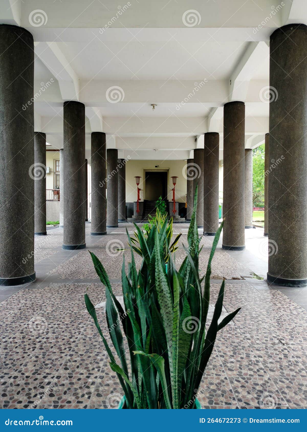 Plantas Y Columnas Alineadas Frente a La Puerta De Un Edificio Imagen ...