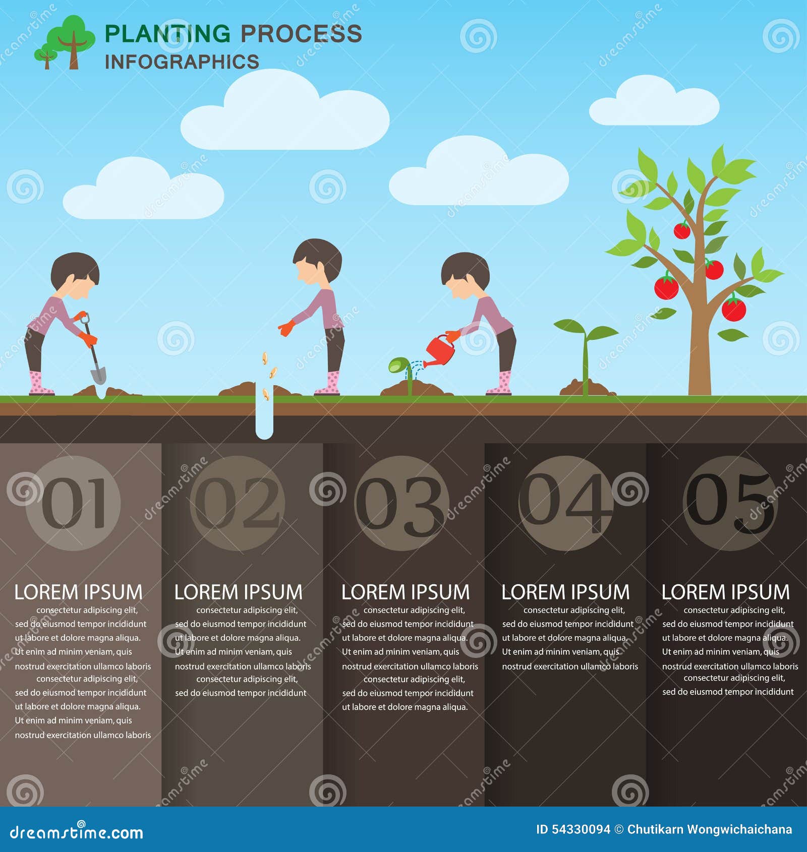 Plantation De L'infographics Illustration de Vecteur - Illustration du ...