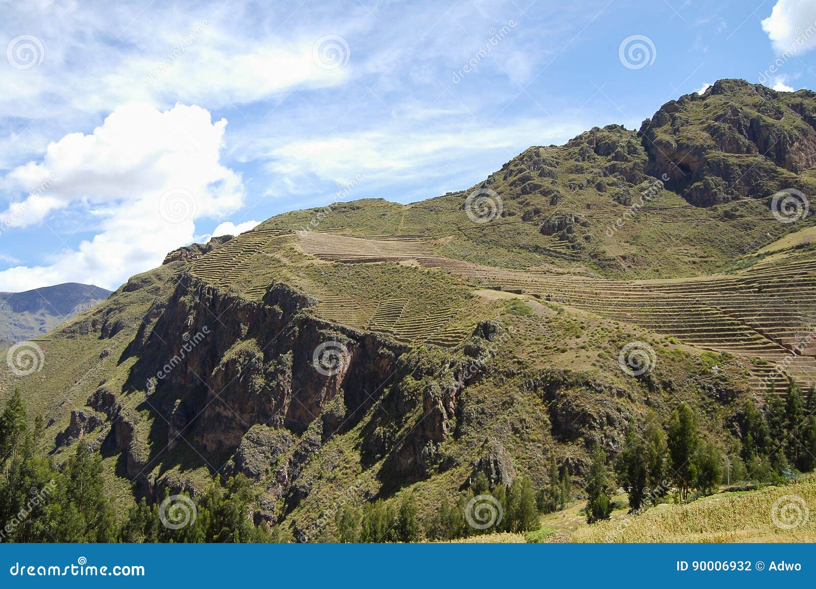 Plantation Fields - Peru stock photo. Image of andes - 90006932