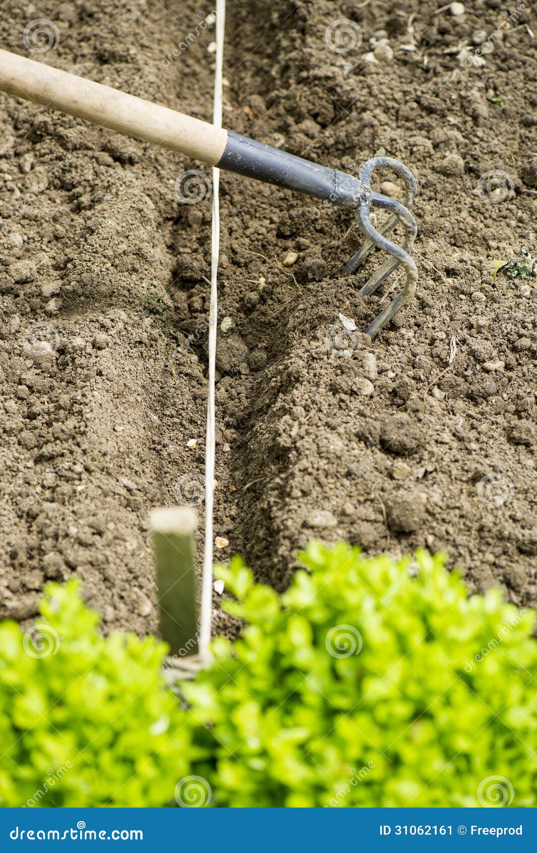 Plantation Garden-Tools stock image. Image of plantation - 31062161