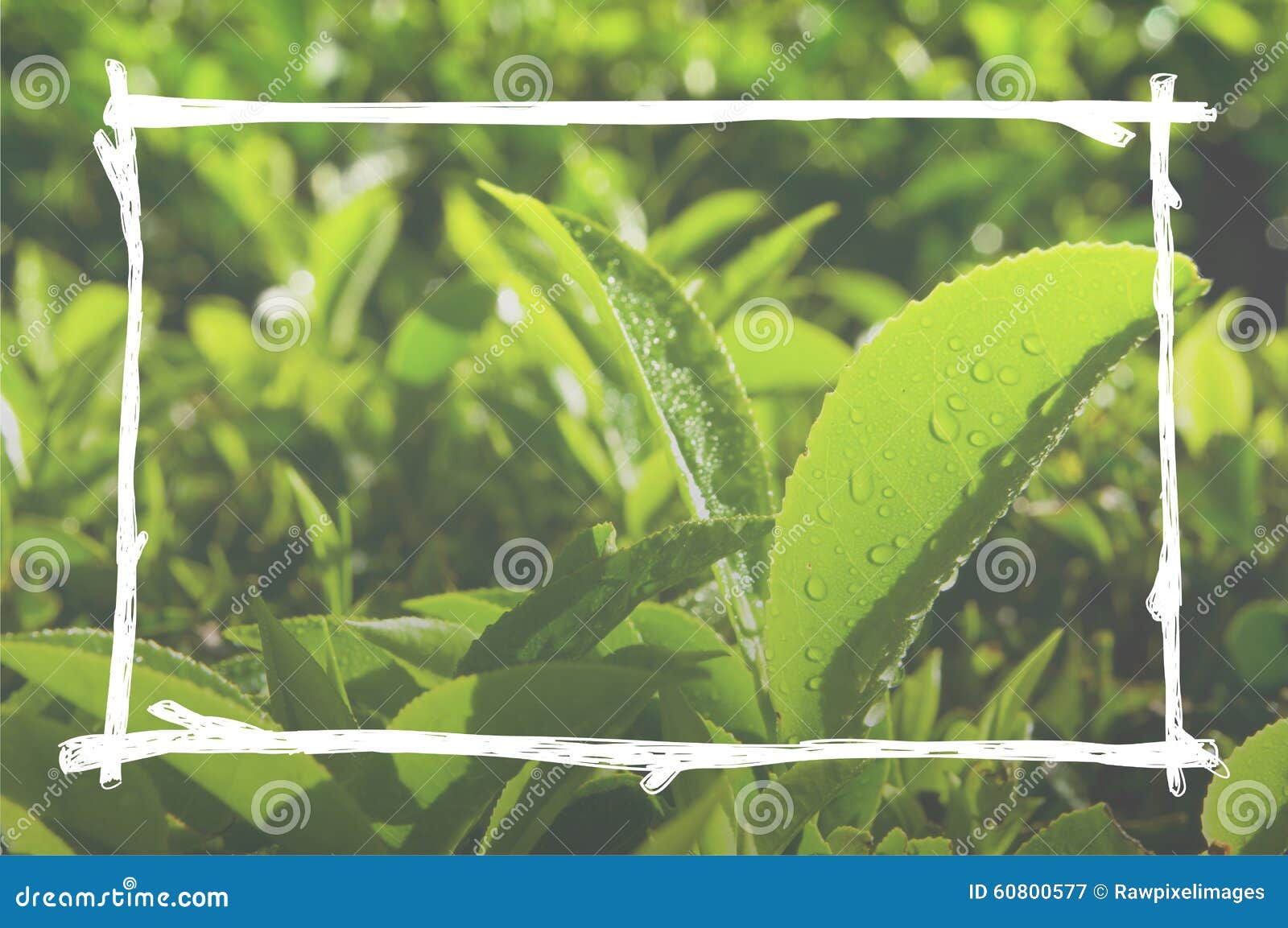 Plantation Green Environment Conservation Frame Concept Stock Image ...