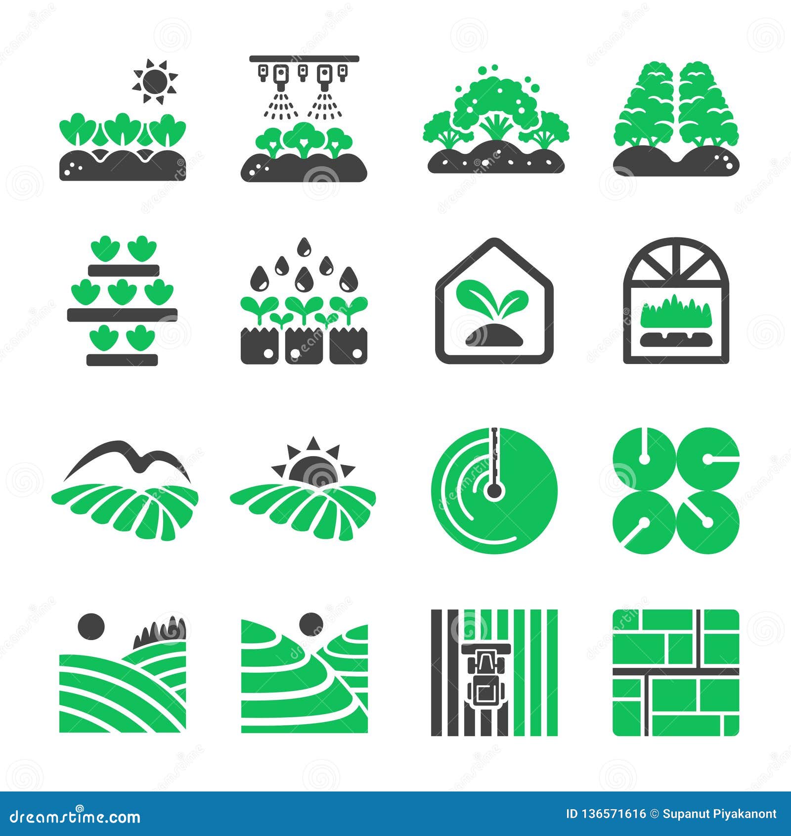 Plantation icon set stock vector. Illustration of agriculture - 136571616