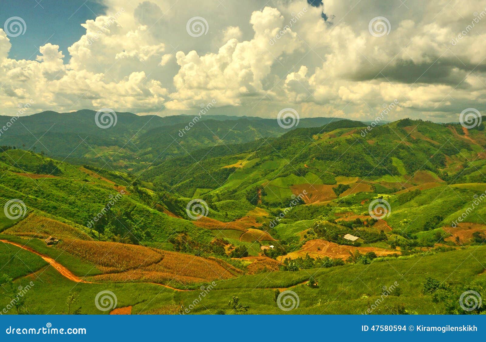 Plantations on Hill Slopes stock photo. Image of field - 47580594