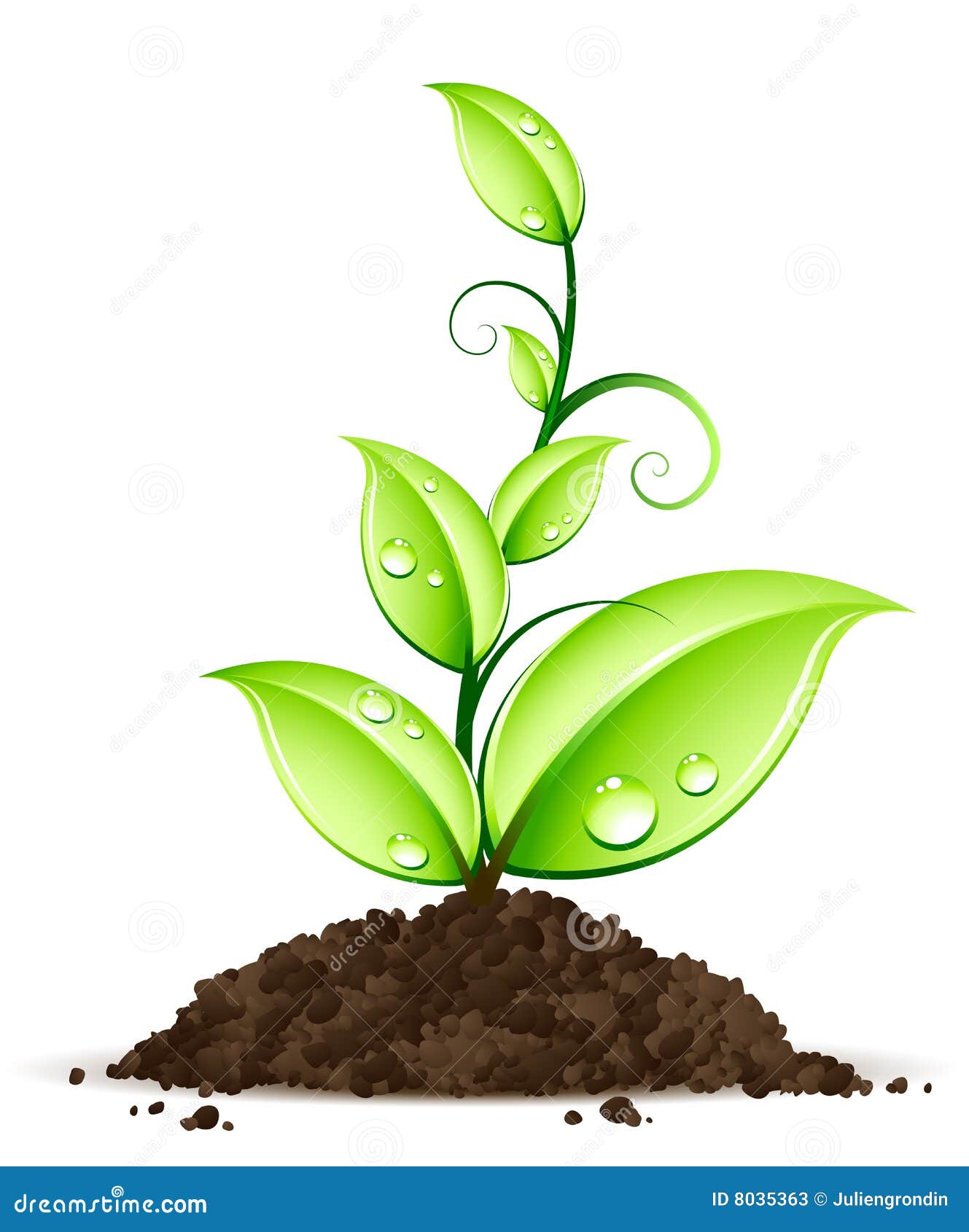 Plante verte illustration de vecteur. Illustration du saleté - 8035363