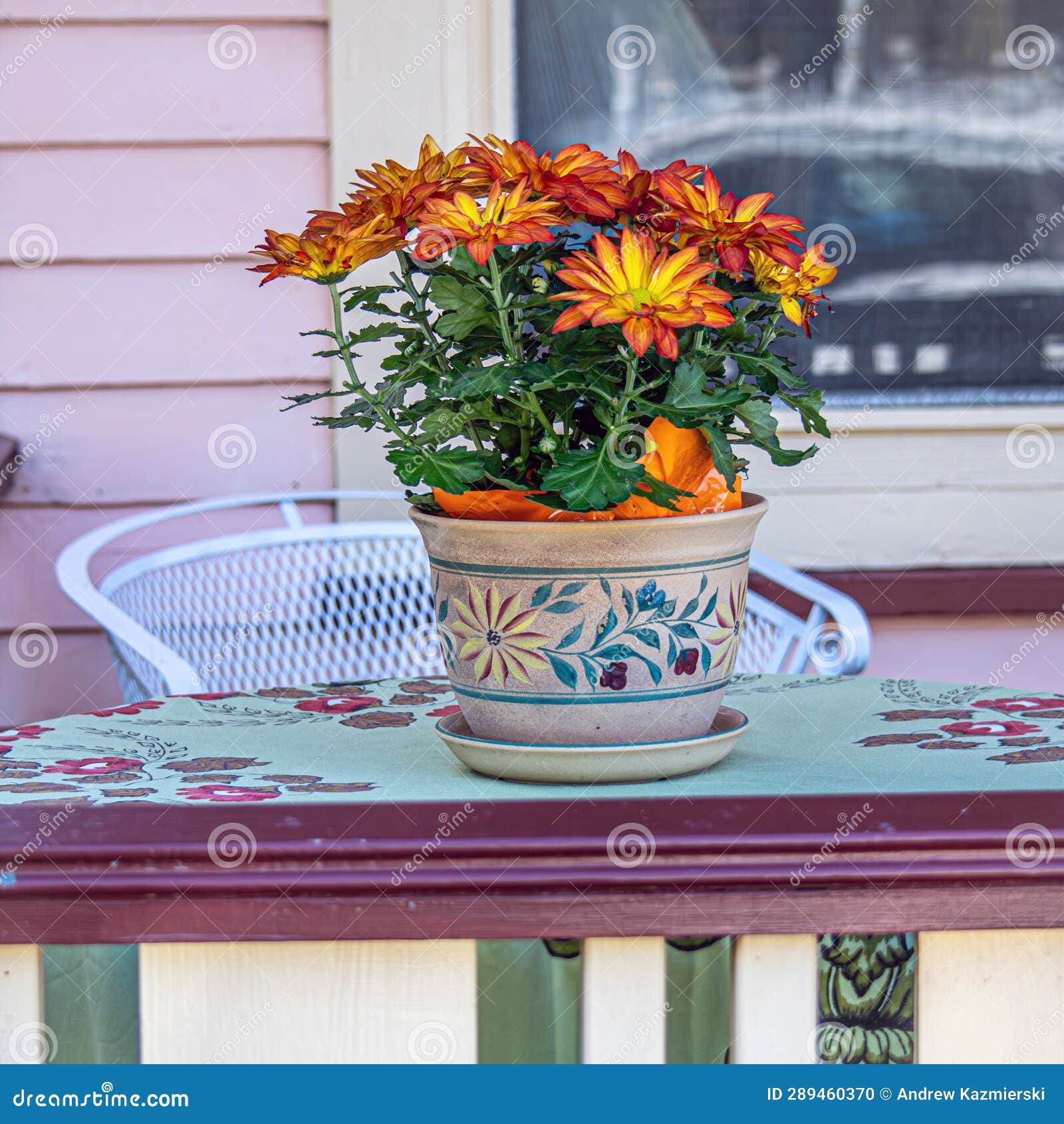 Planter on Table stock photo. Image of outside, outdoors - 289460370