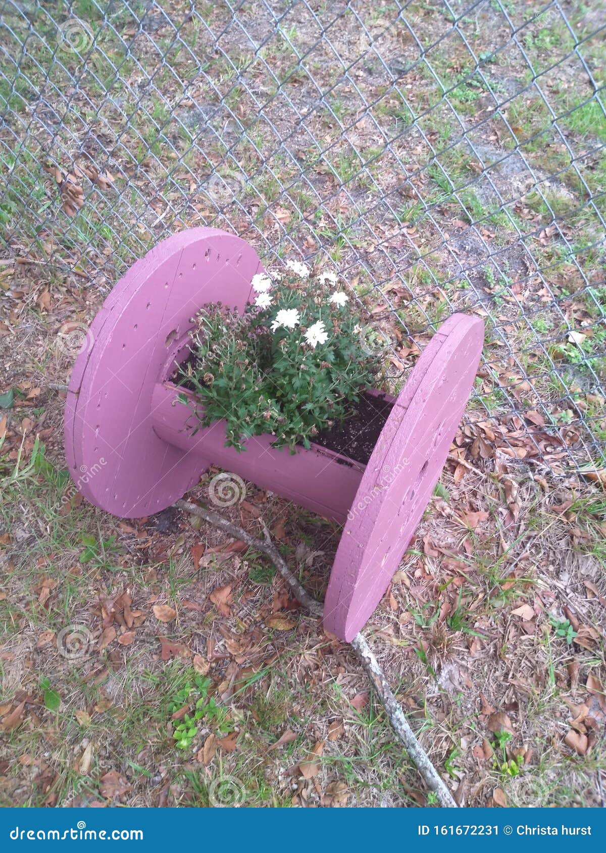 Planters stock image. Image of planters, gardening, spool - 161672231