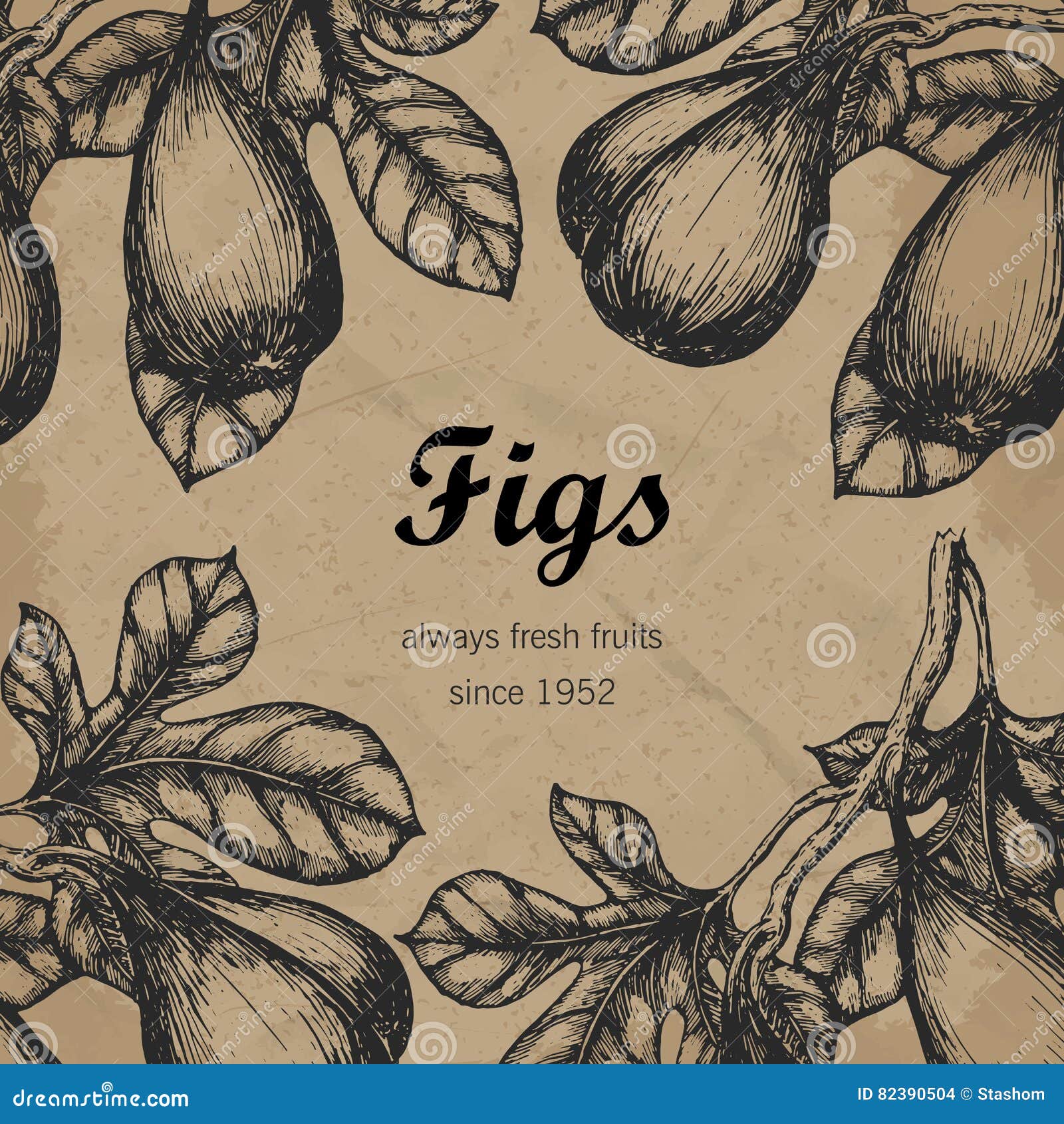 Plantilla Del Vector Con Los Higos Handdrawn Ilustración del Vector ...