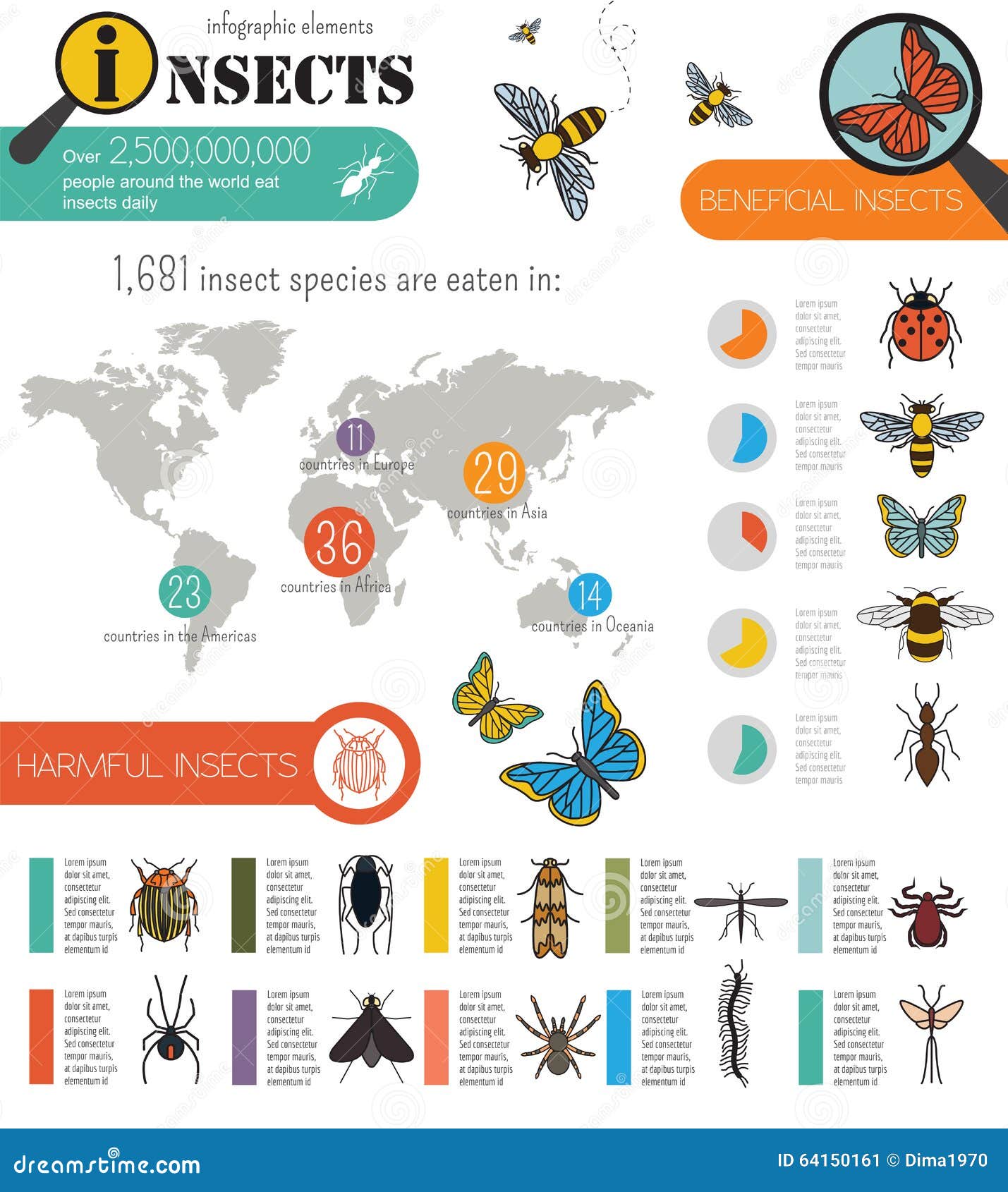 Plantilla Infographic De Los Insectos Ilustración del Vector ...