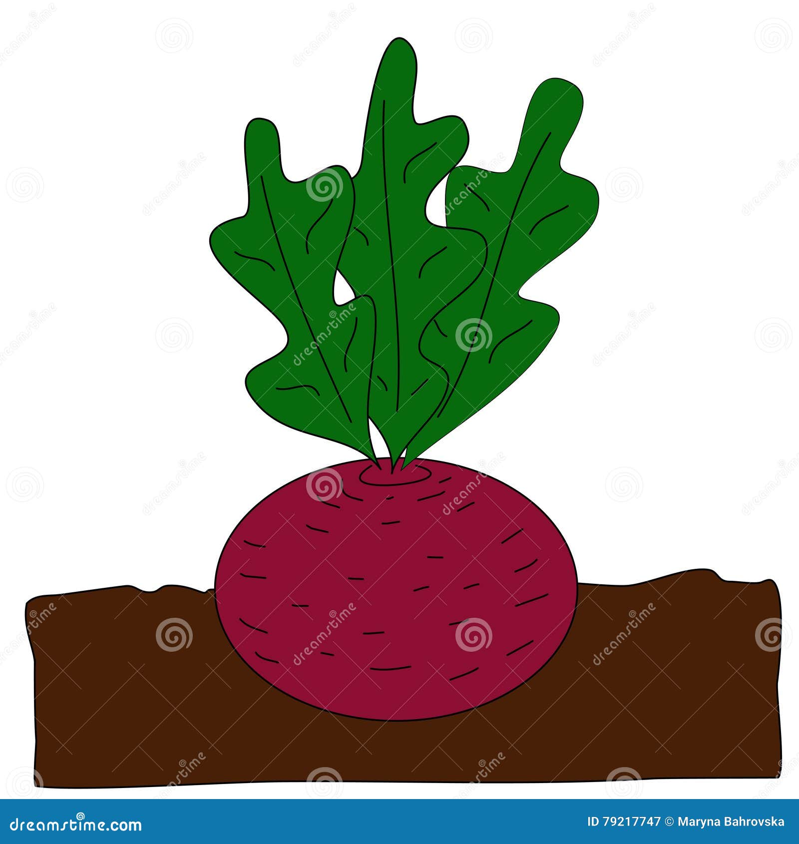 Planting beet. stock vector. Illustration of garden, figure - 79217747