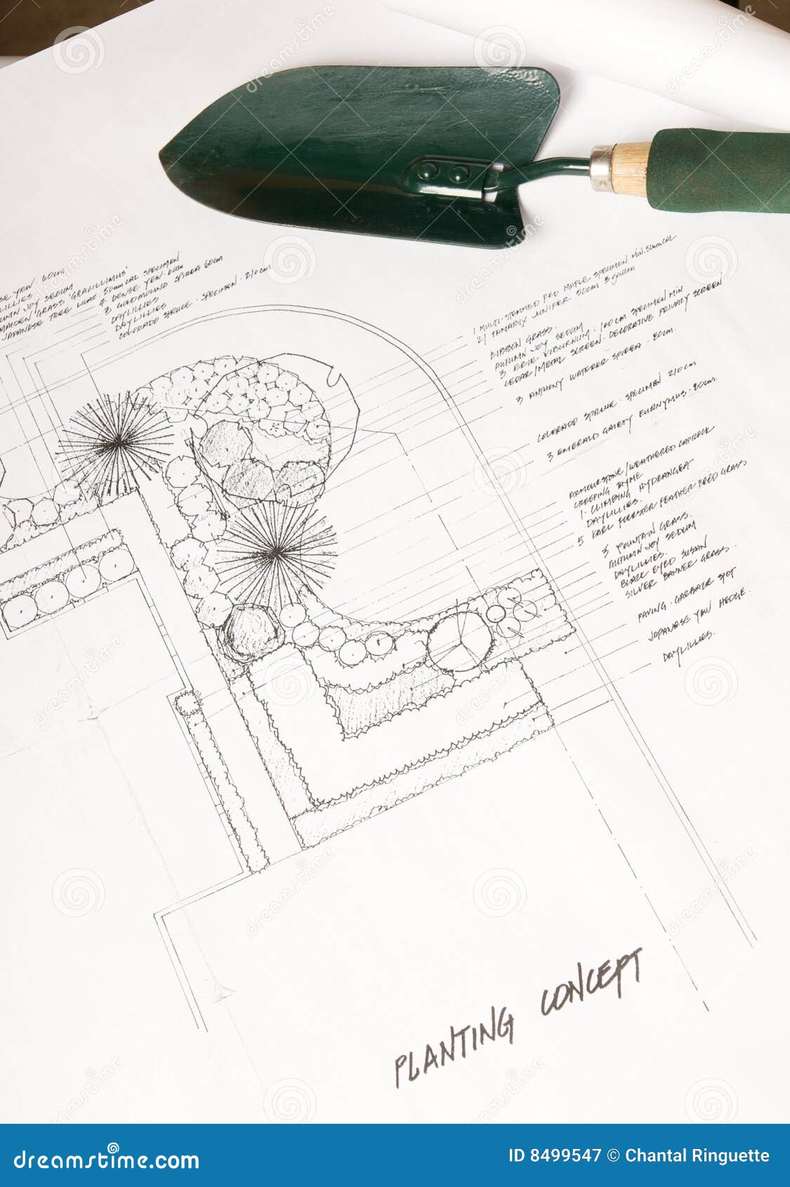 Planting concept stock image. Image of tree, plants, shovel - 8499547