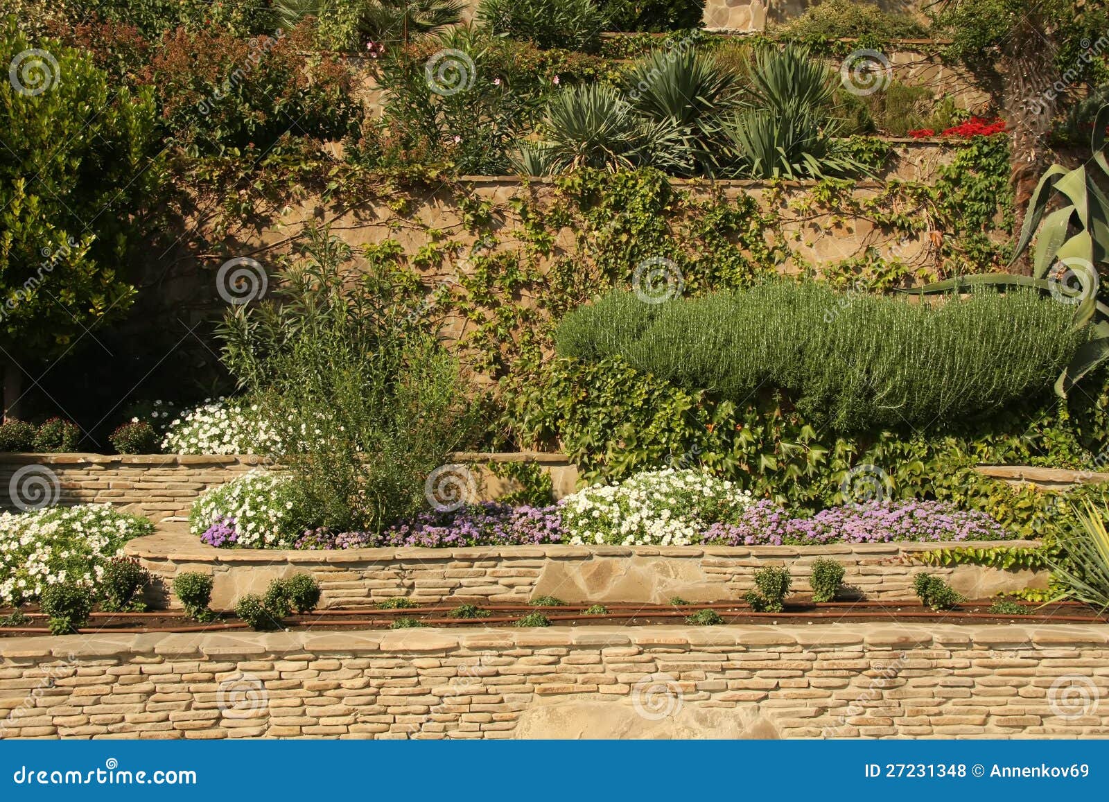 Planting of greenery stock photo. Image of gardening - 27231348