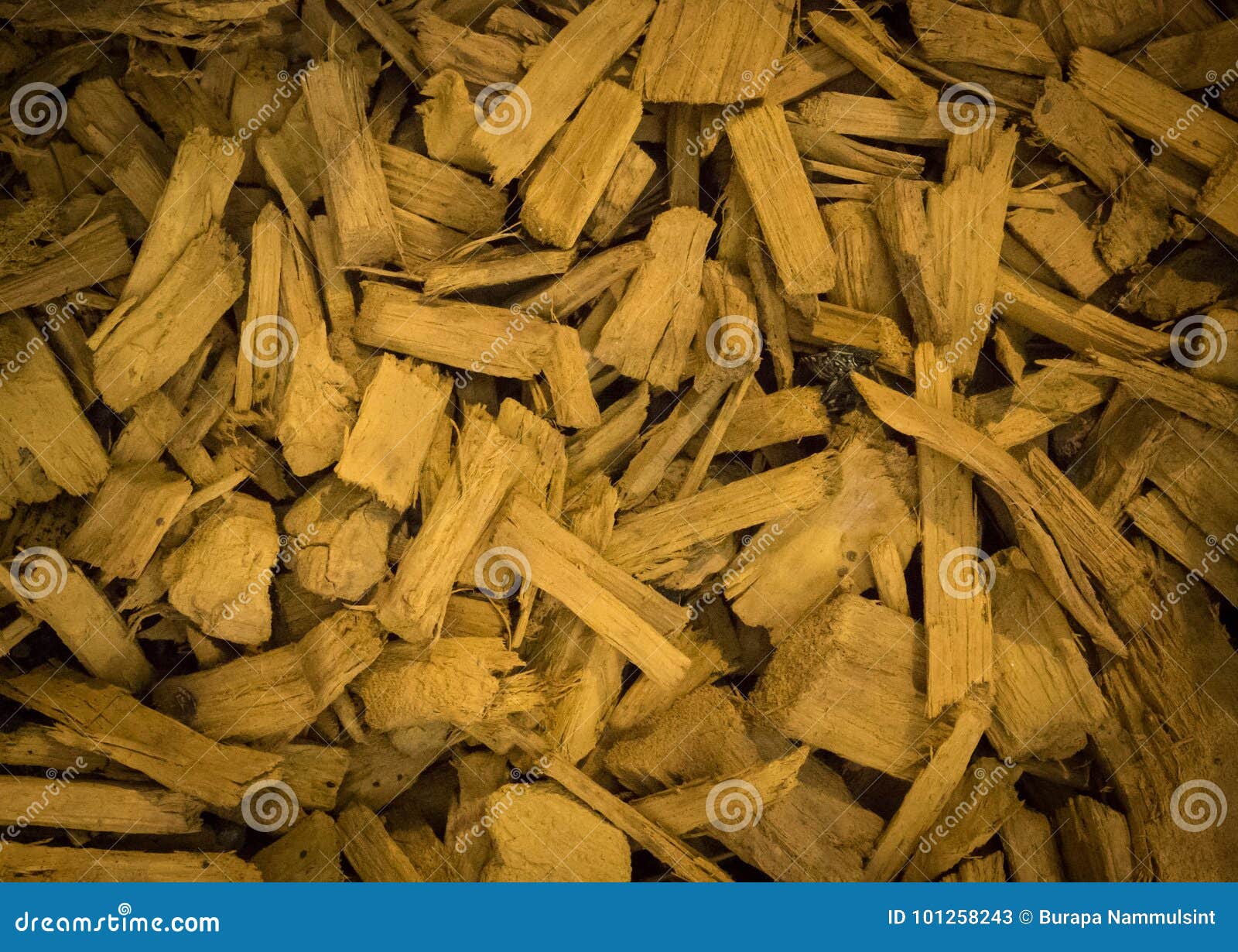 Planting Material for Use in Farming. Stock Image - Image of scale ...