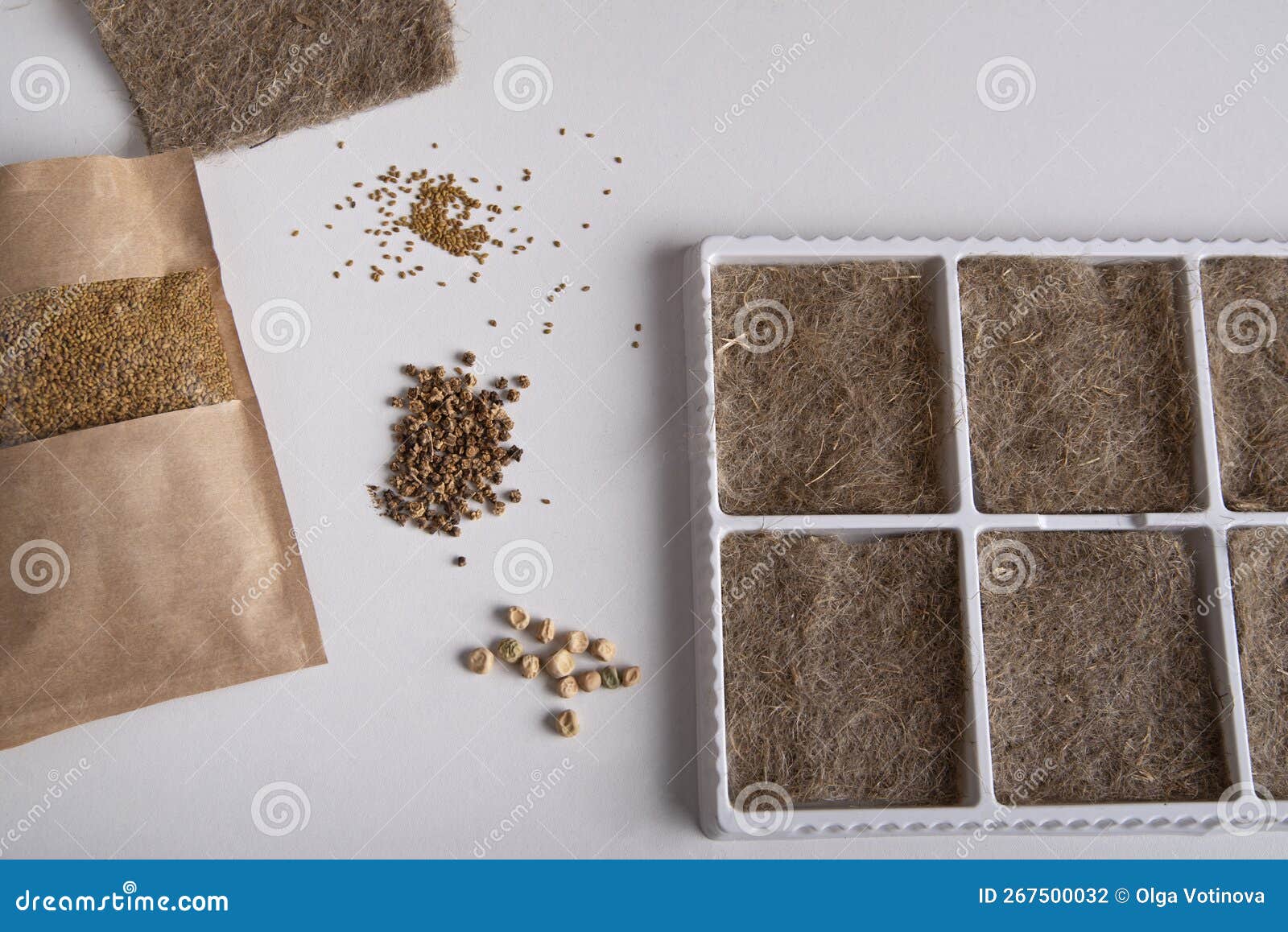 Planting Micro-green Seeds on the Mat. Eco-friendly Growing of Greenery ...