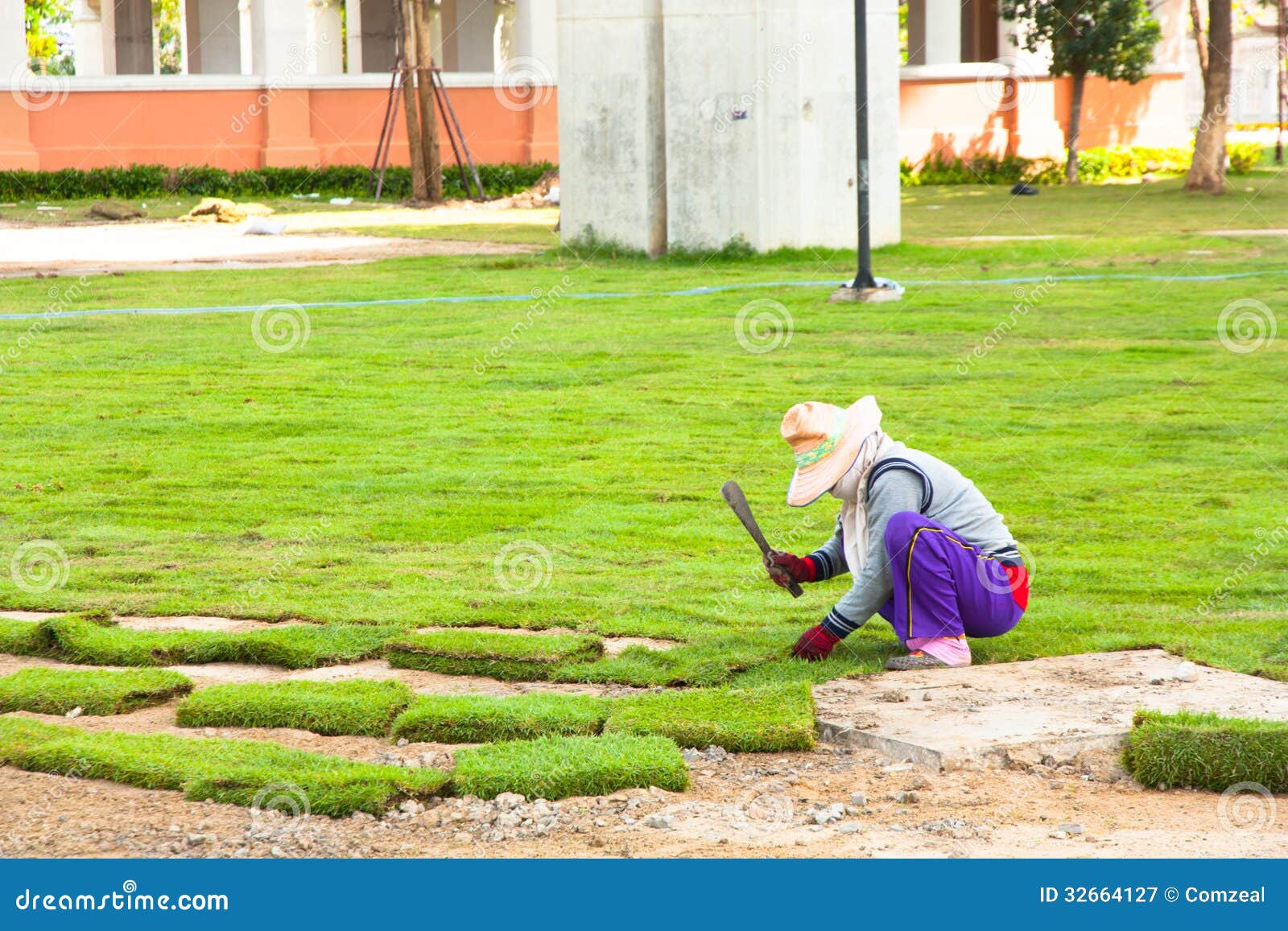 Planting New Grass stock image. Image of install, landscape - 32664127