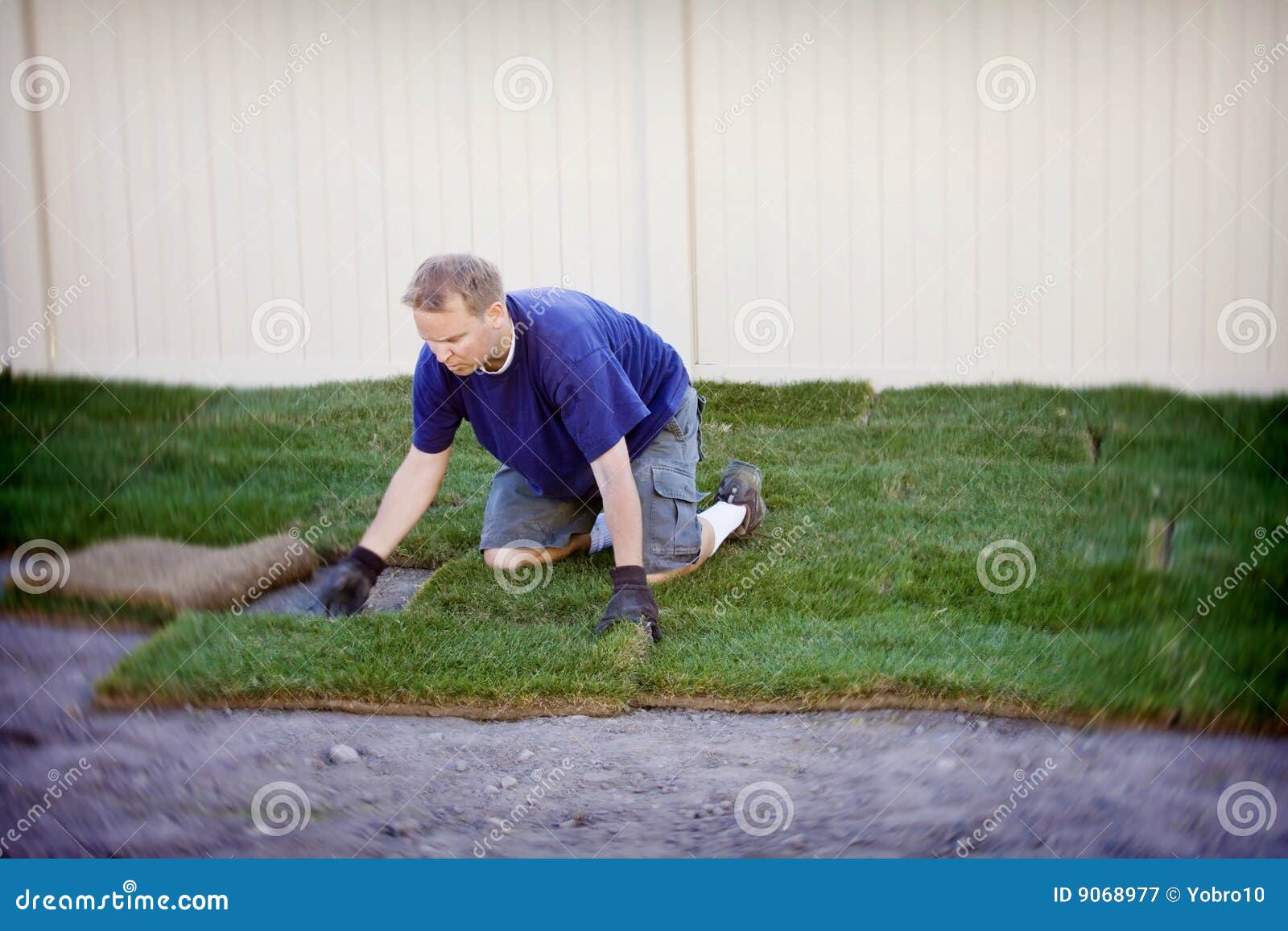 Planting New Sod Grass stock image. Image of frontyard - 9068977