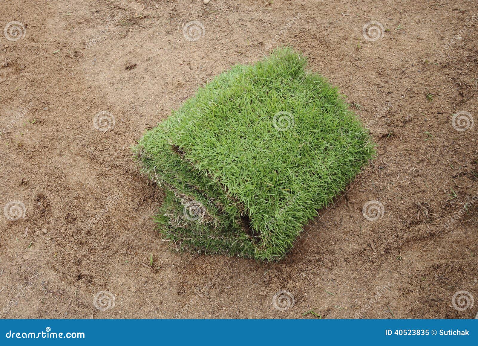 Planting New Sod Grass in the Garden Stock Image - Image of land ...