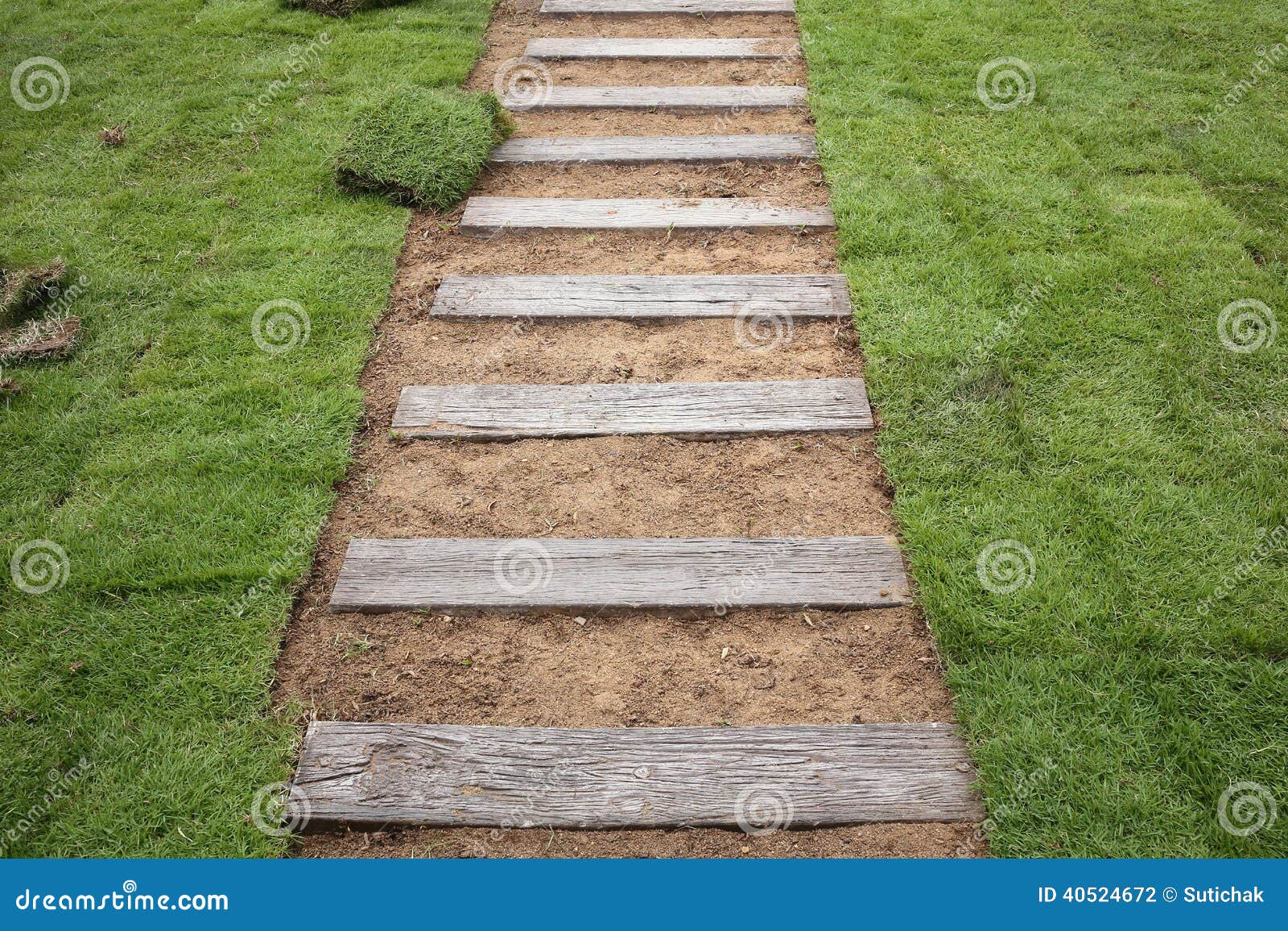 Planting New Sod Grass in the Garden Stock Photo - Image of color ...