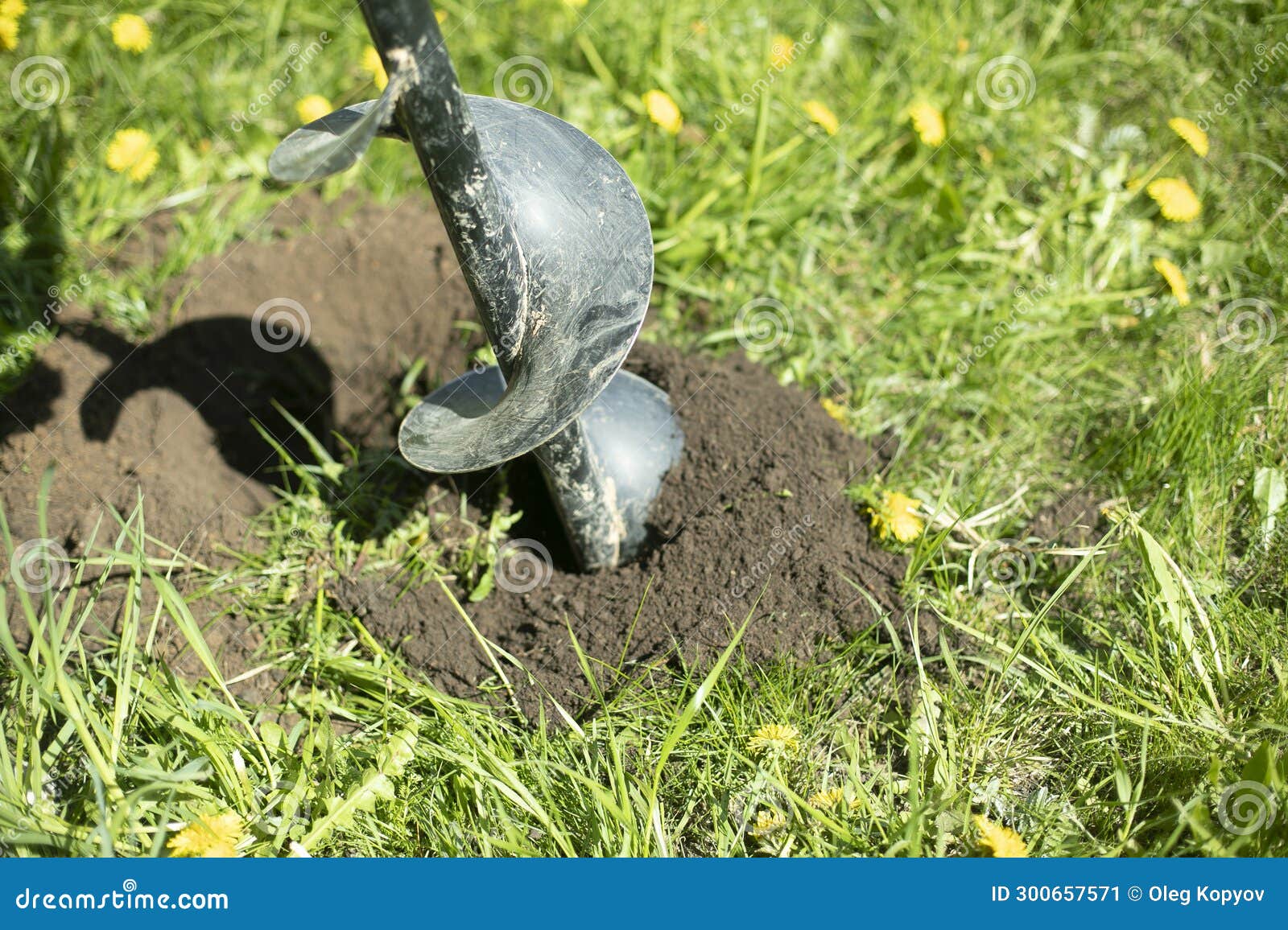 Planting Plants in Ground. Work in Garden Stock Image - Image of ...
