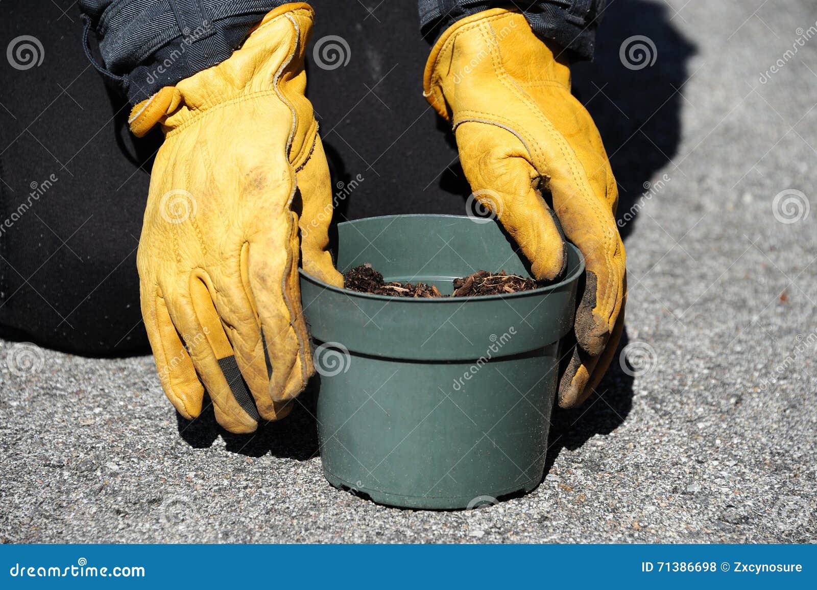 Planting in Plastic Pot, Hands with Glove Stock Photo - Image of spring ...
