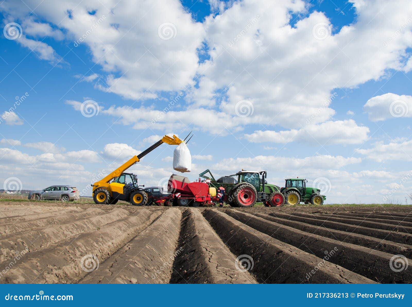 Planting a potato stock image. Image of organic, vegetable - 217336213