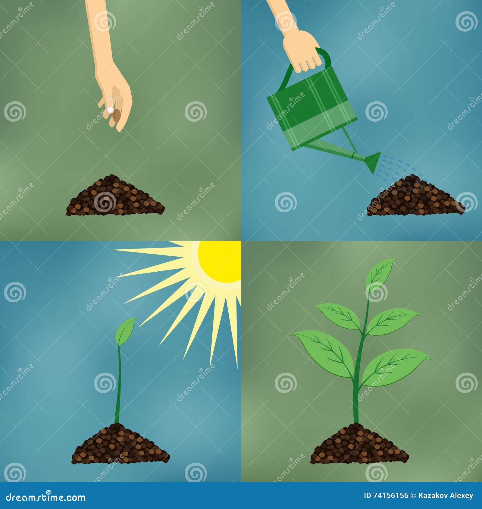 Planting Process in Flat Design. Stock Vector - Illustration of ground ...