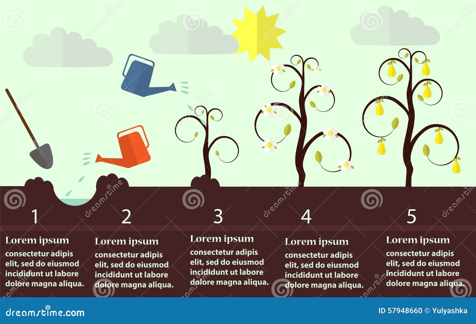 Planting process stock vector. Illustration of pear, planting - 57948660 Planting process stock vector. Illustration of pear, planting - 57948660