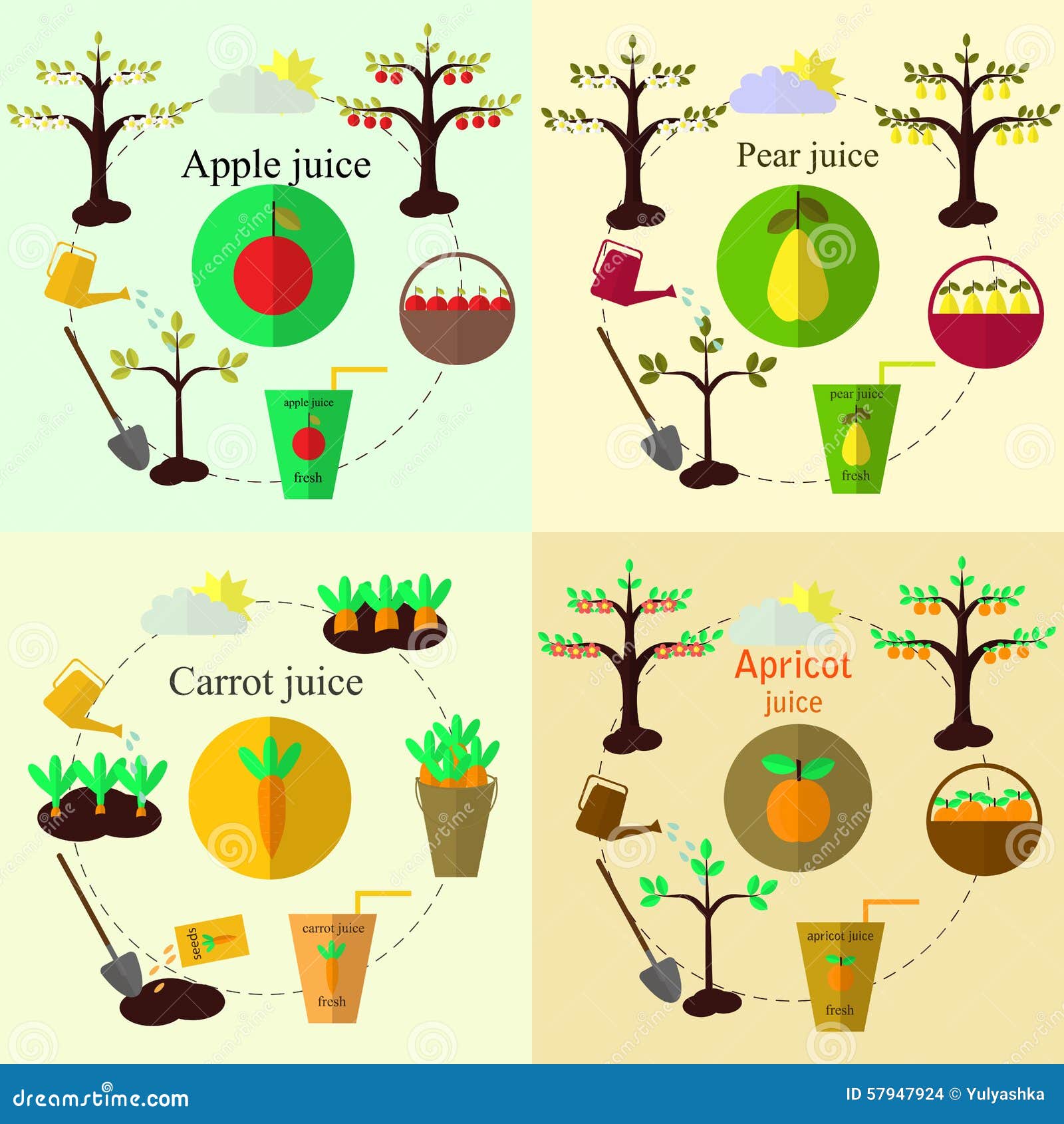 Planting Process Infographic. Growth Stages. Steps Of Plant Grow ...