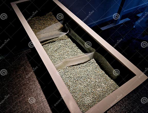 Planting in Rectangular Pots Begins with the Placement of Growing Stock ...