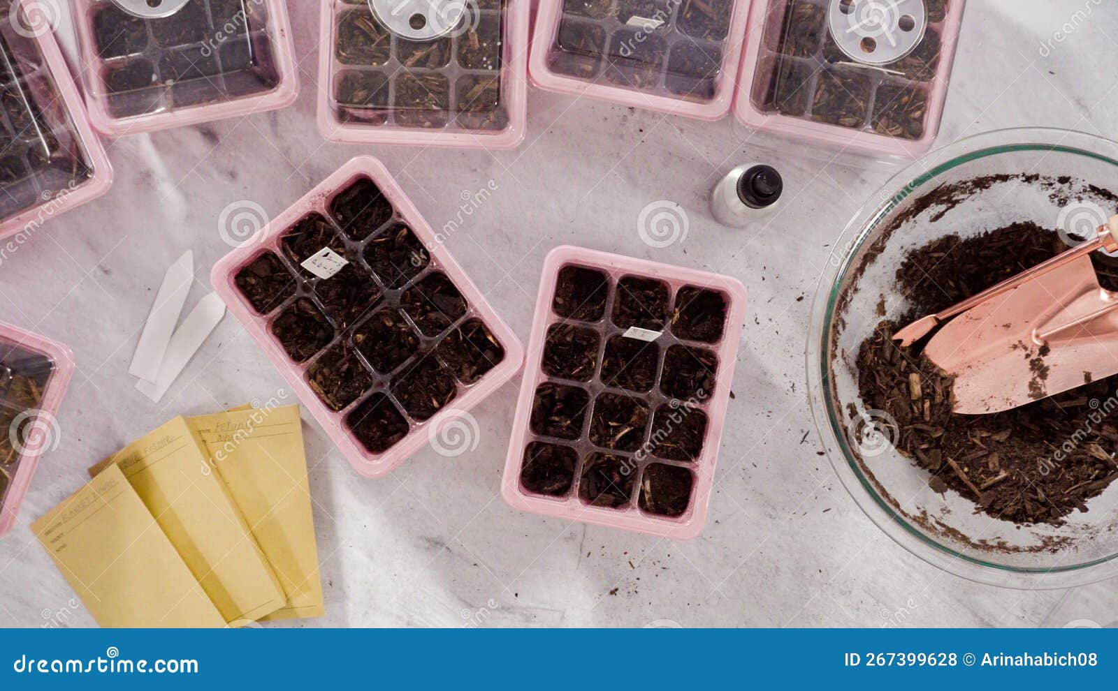 Planting seed stock photo. Image of nature, gardening - 267399628